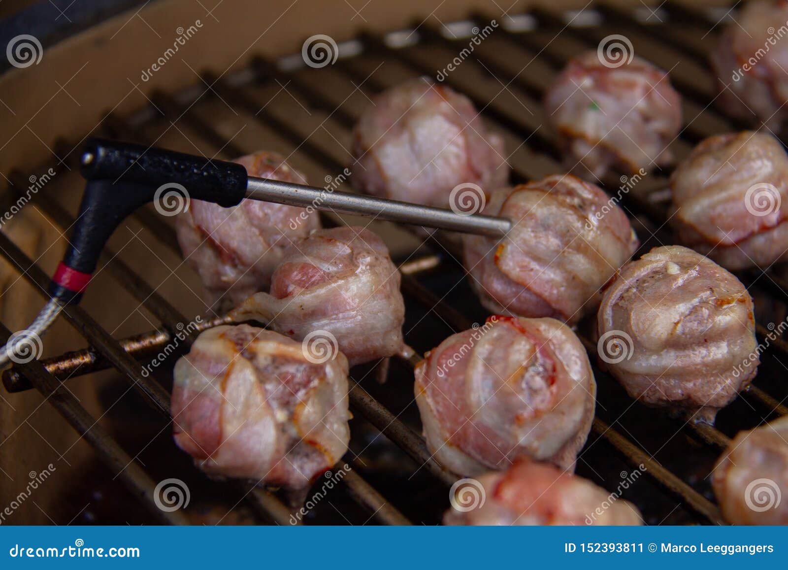 Temperature Probe For Digital Multimeters Royalty-Free Stock Photo ...