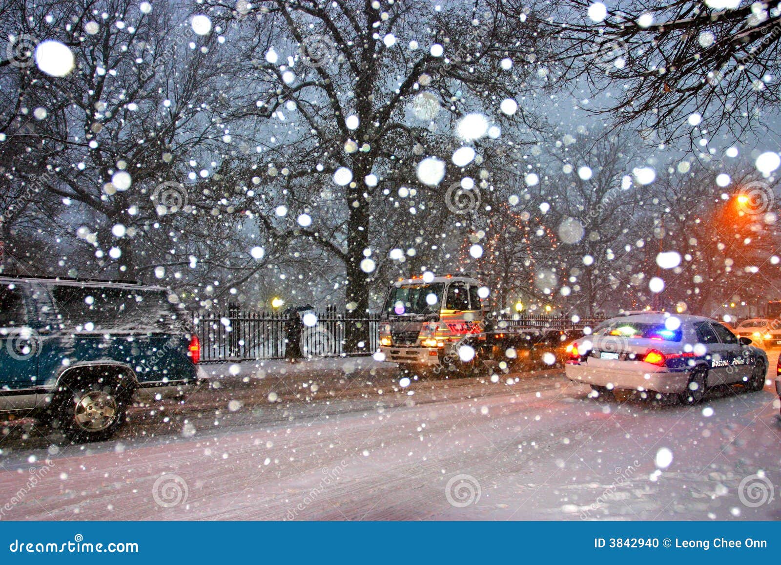 Tempestade Da Neve De Boston Imagem Editorial - Imagem de céu, parque ...