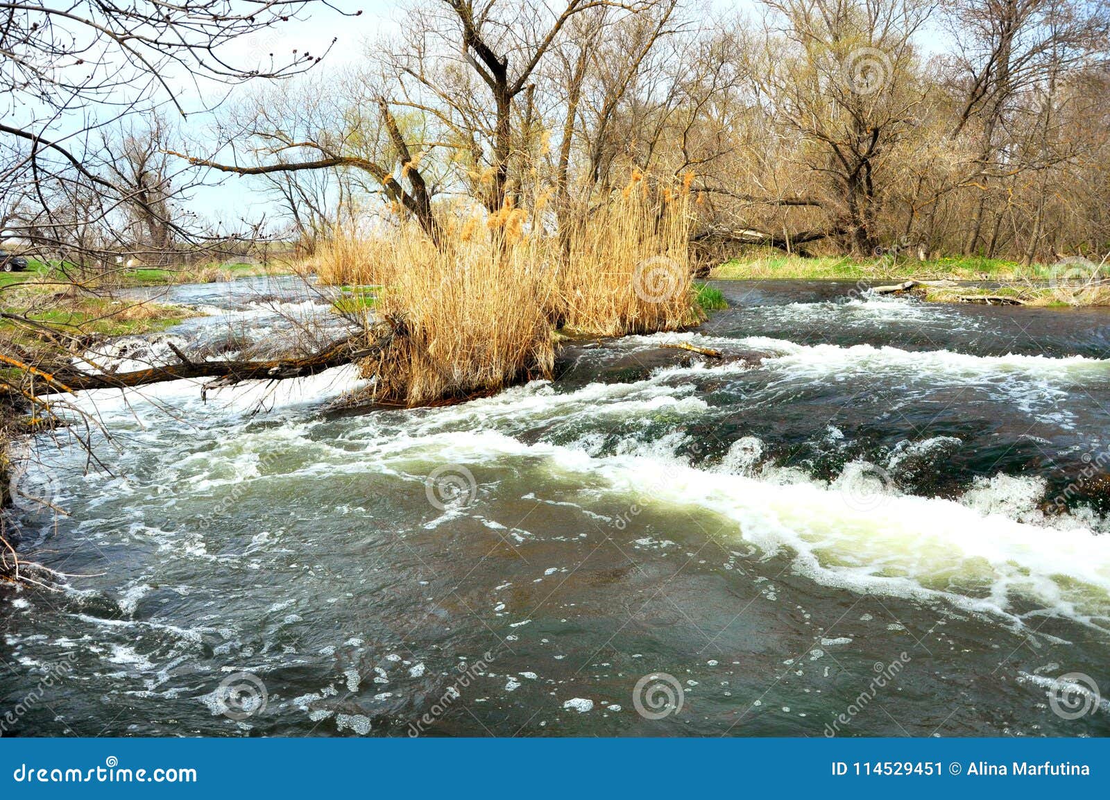 Tempestuous River with Small Stone Rapids Stock Image - Image of small ...