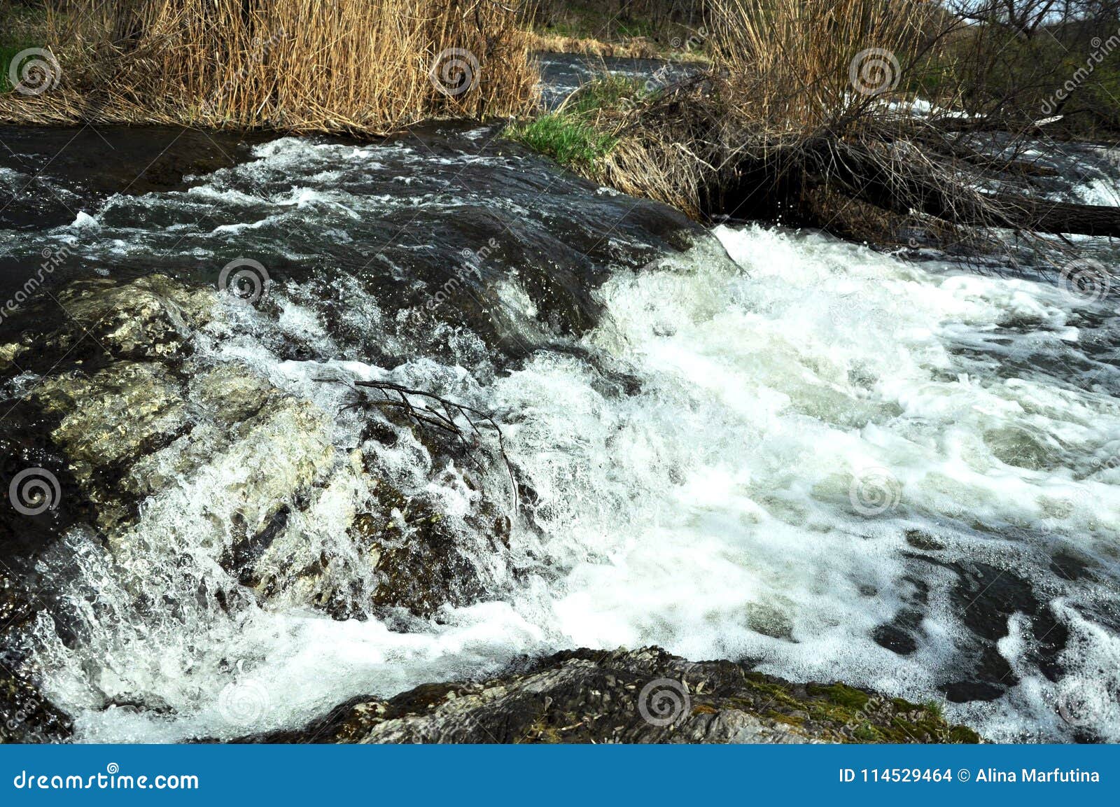Tempestuous River with Small Stone Rapids Stock Photo - Image of flow ...