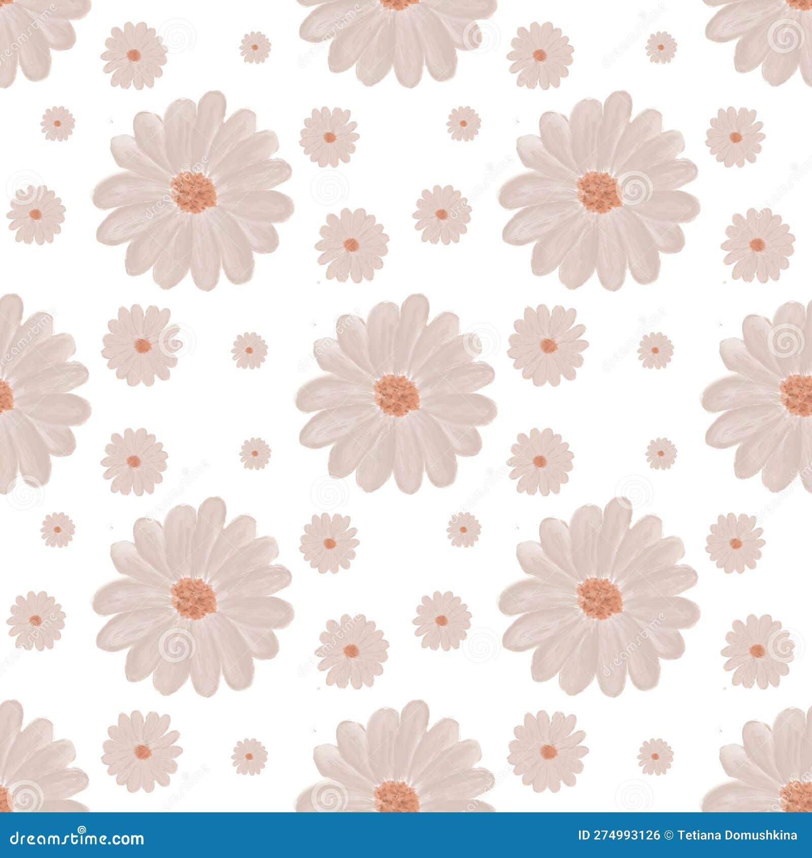 Watercolor Floral Blush Pink Daisy Flowers Seamless Pattern Stock ...