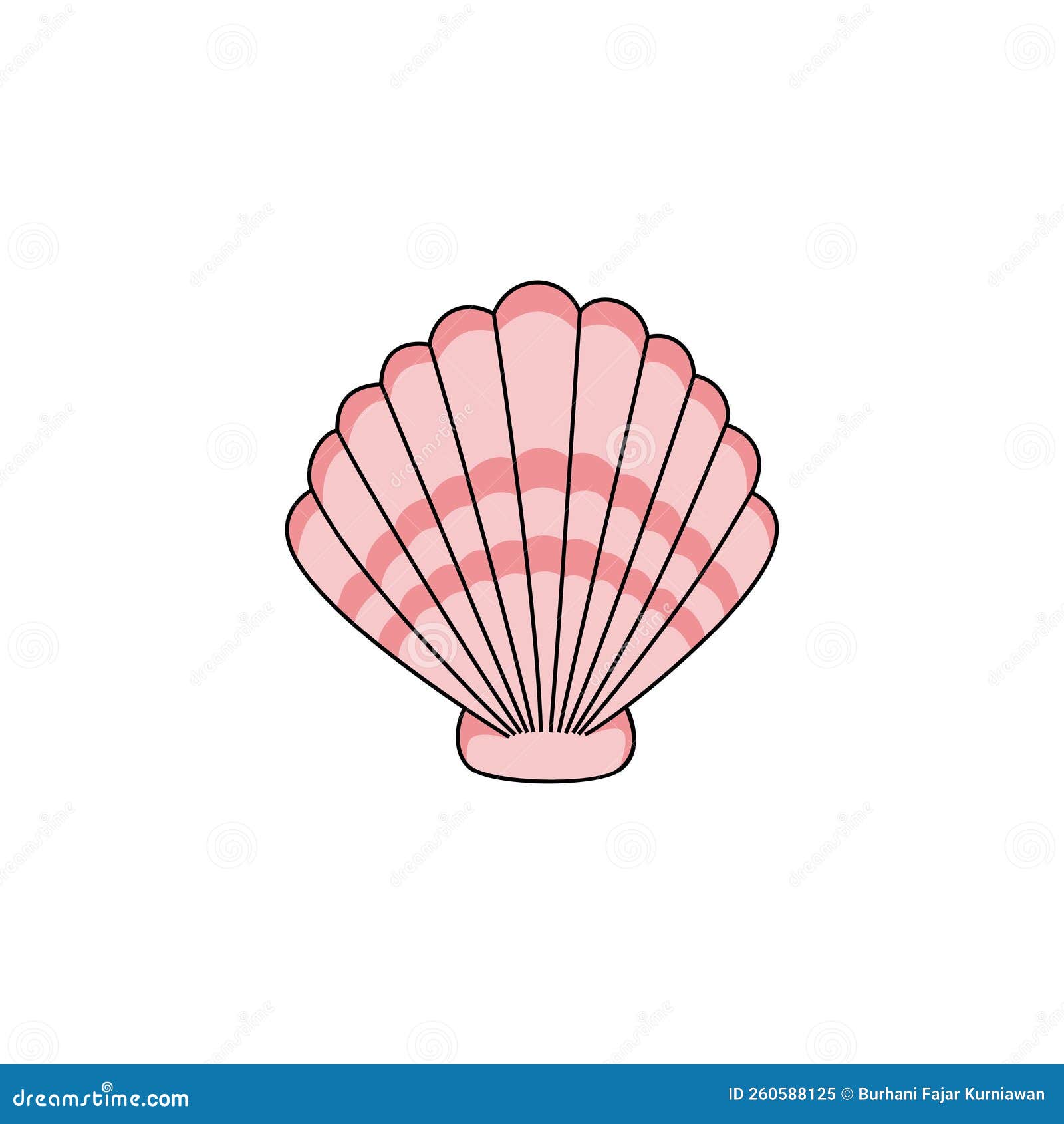 Shell Cartoon Design Vector Illustration Stock Vector - Illustration of ...
