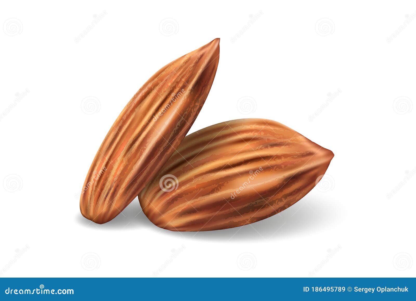 Template with Almonds for Packaging Design, Presentation, Banner, Ad ...