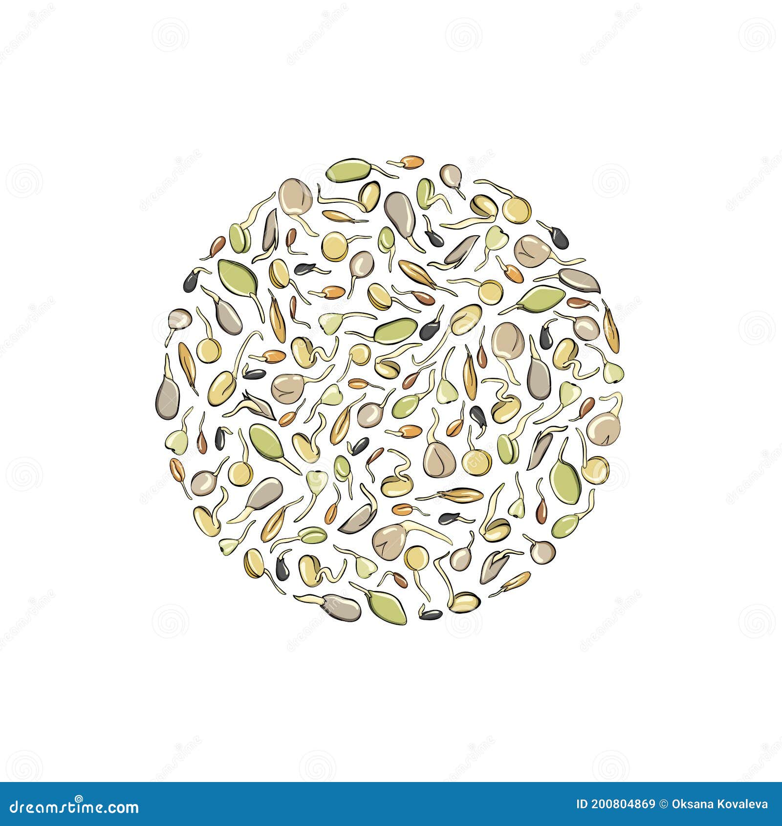 Template And Background Of Growing Seeds - Vector Illustration ...