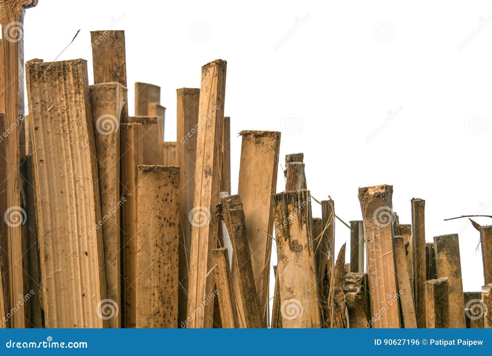 Template with a Bamboo Graph Isolated on White Background. Stock Photo ...