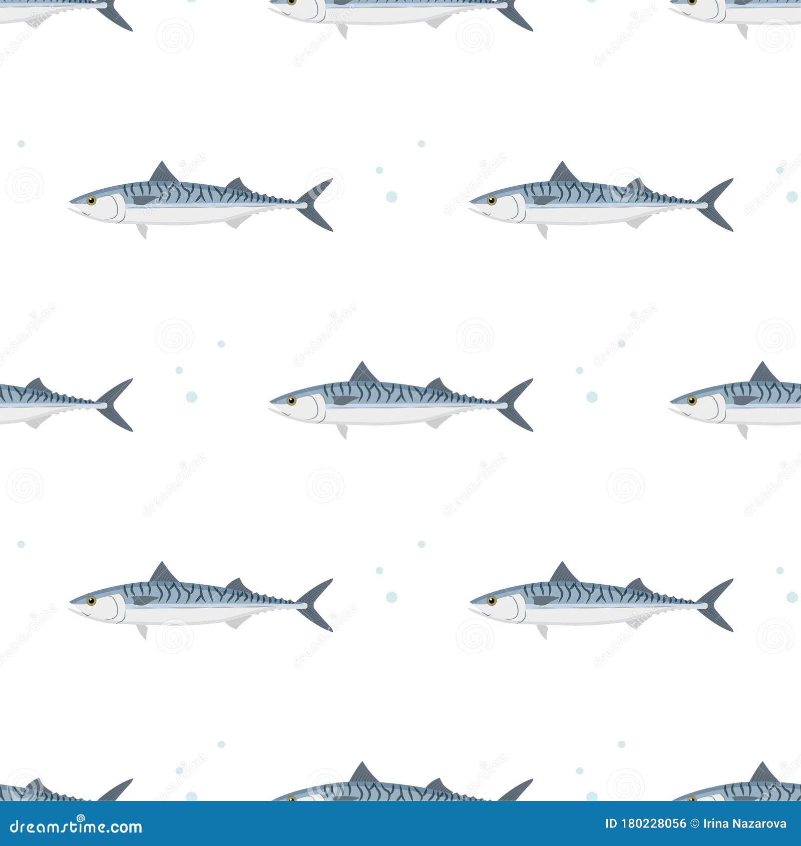 Mackerel. Commercial Fish Species Stock Vector - Illustration of ...