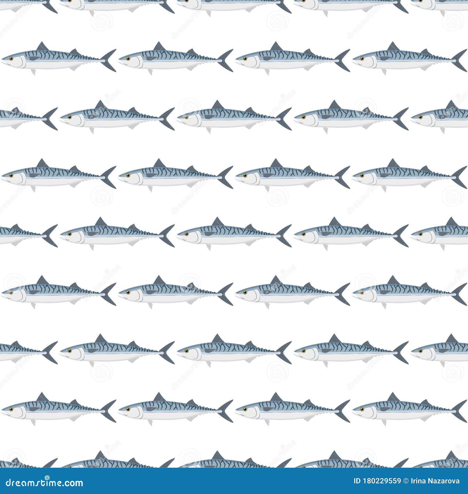 Mackerel. Commercial Fish Species Stock Vector - Illustration of ...