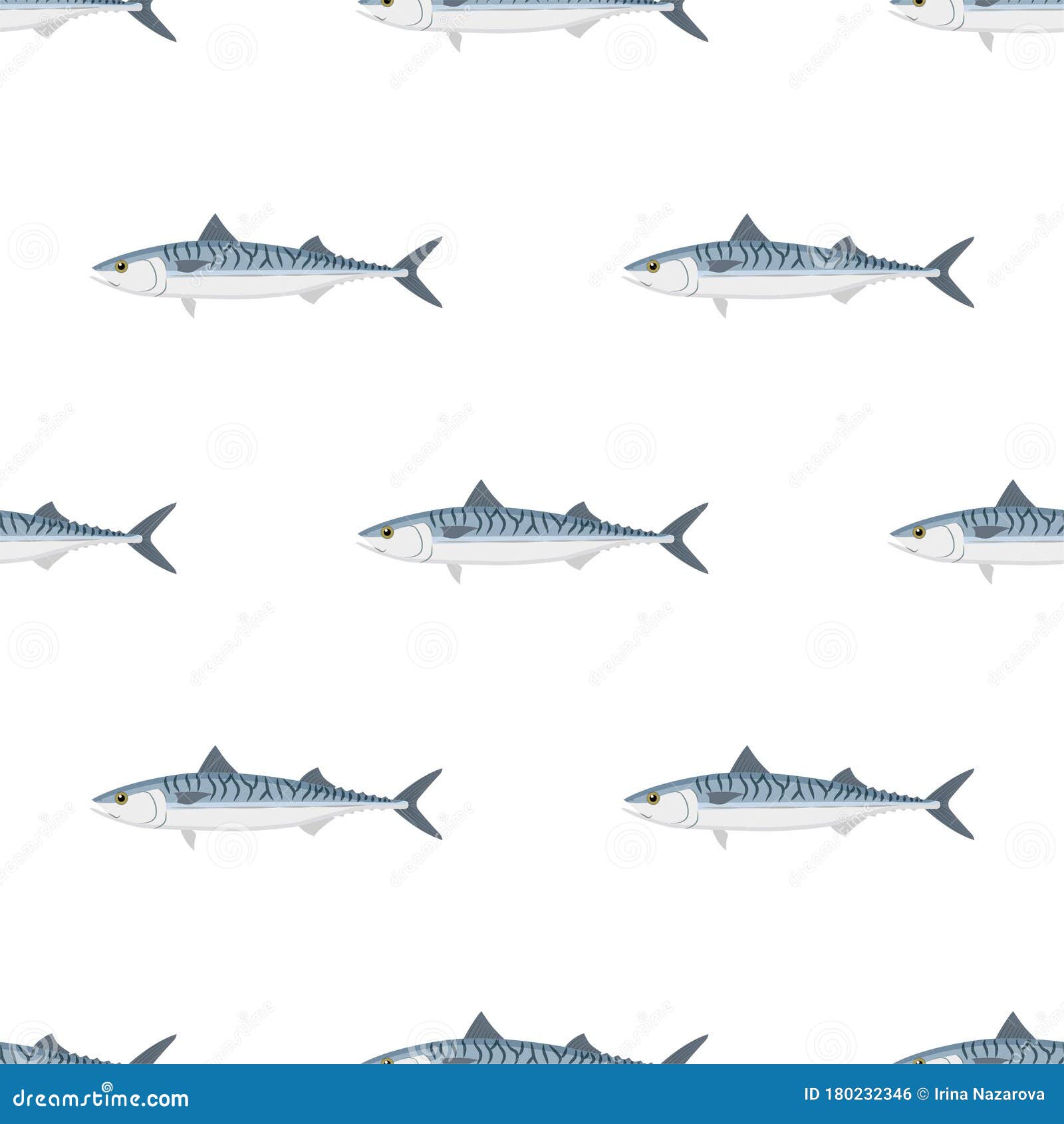 Mackerel. Commercial Fish Species Stock Illustration - Illustration of ...