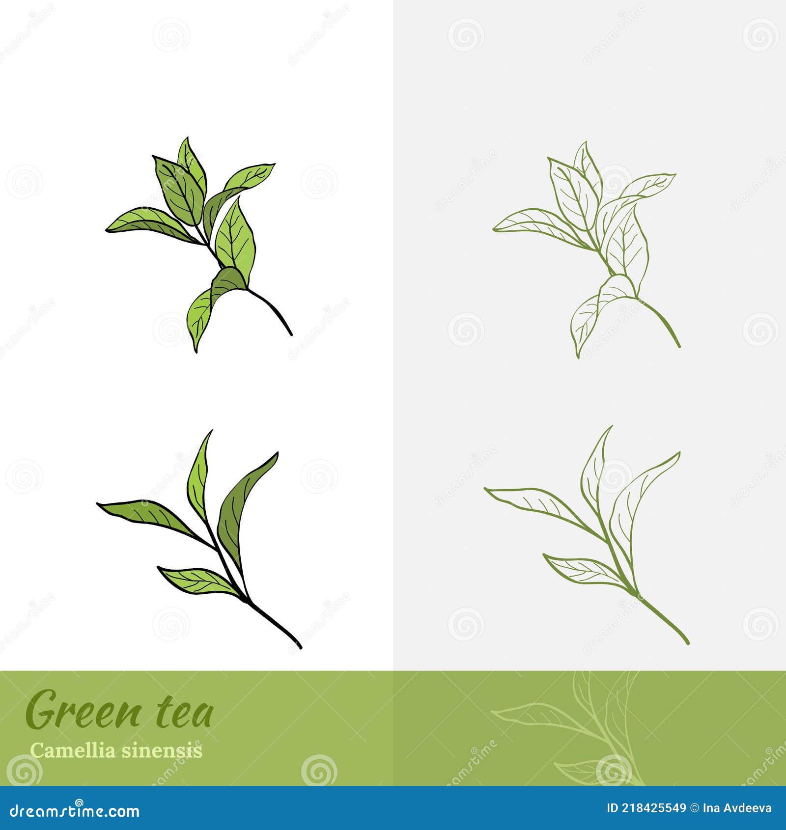 Template for Design with a Set of Tea Leaves Stock Vector ...