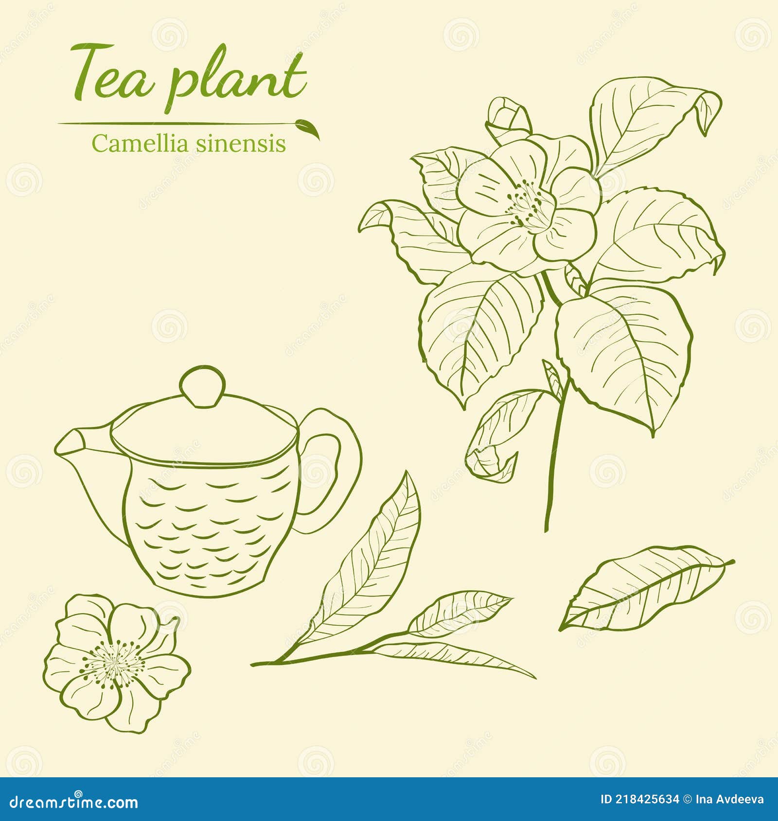 Template for Design with a Set of Tea Leaves Stock Vector ...