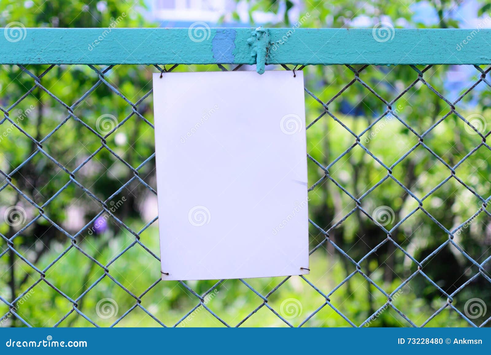 Template Empty Blank Plate on Net Fence Stock Photo - Image of gate ...