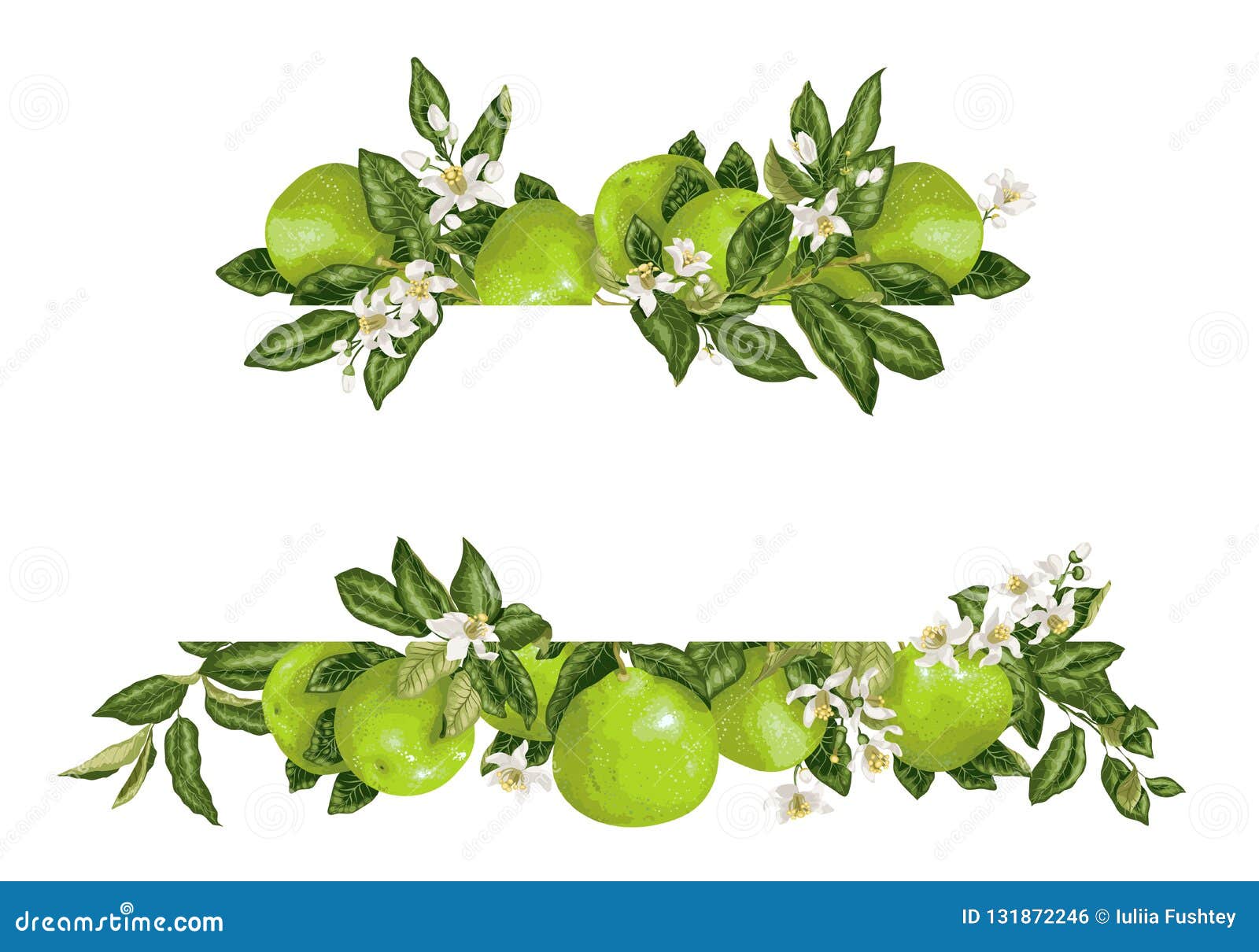 Template Frame Decprative Vector Element with Citrus Flowers and Stock ...