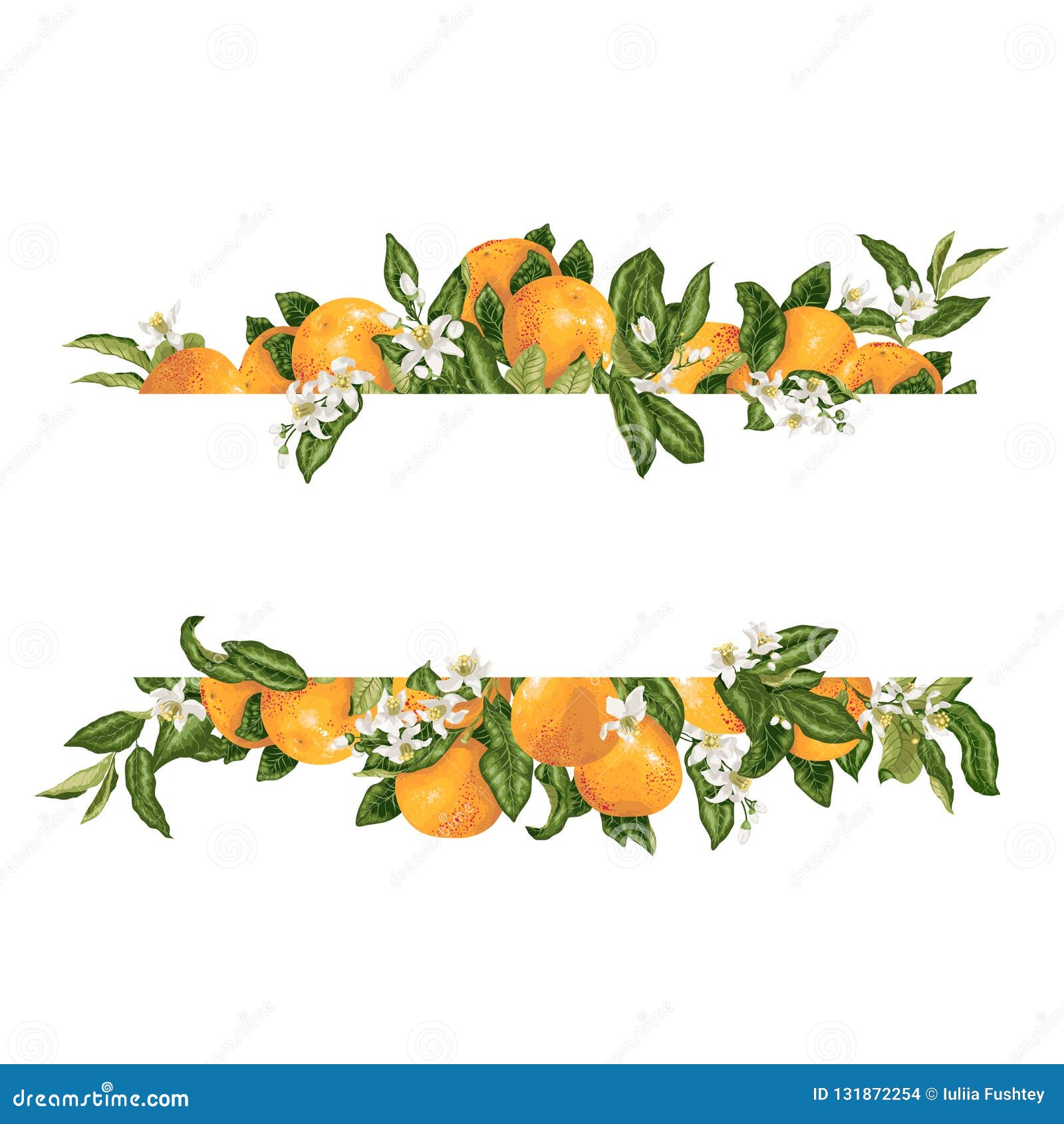 Template Frame Decprative Vector Element With Citrus Flowers And ...
