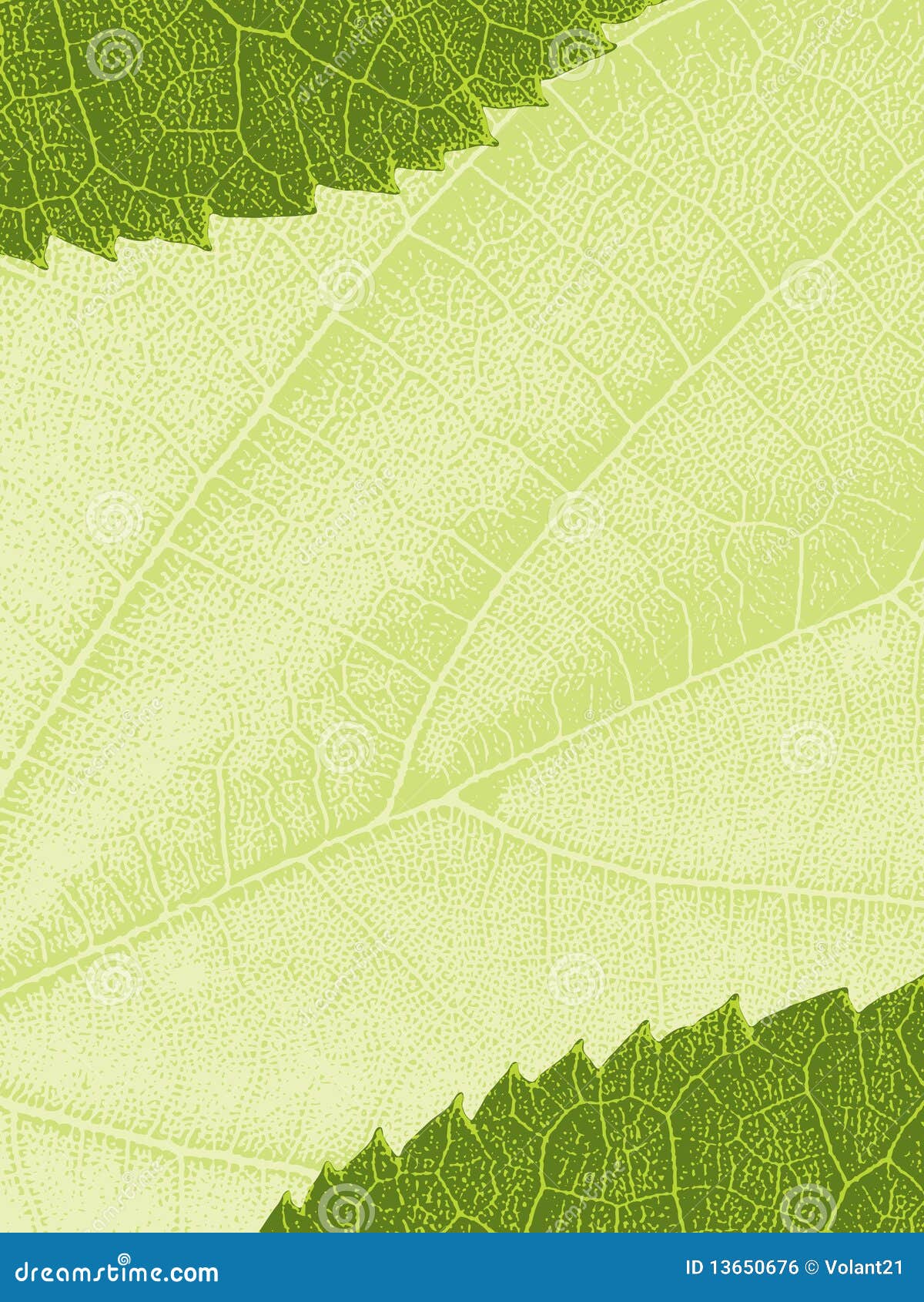 Leaf Texture Corner Decor Pattern Background Cartoon Vector ...