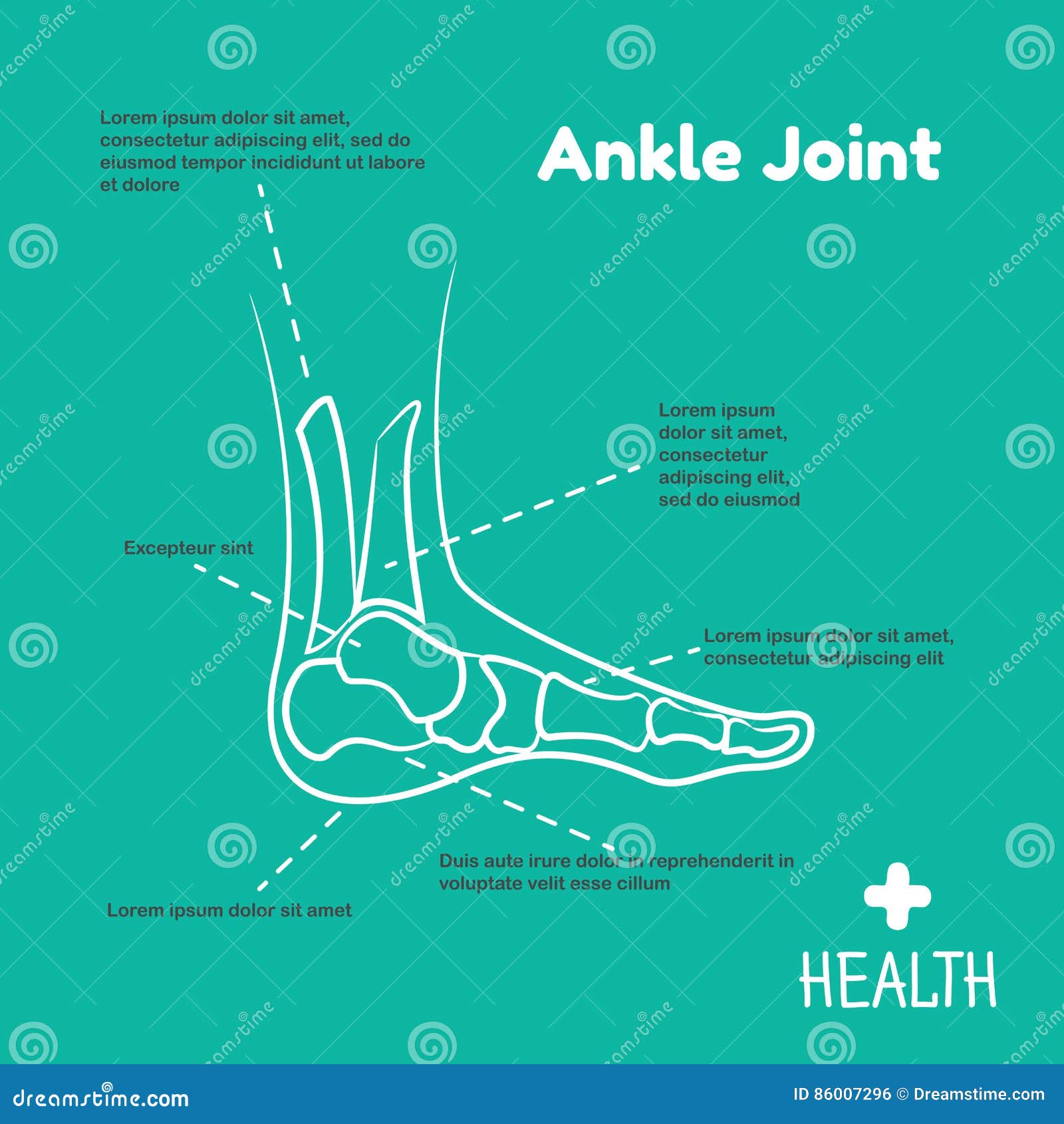 Template Logo For Ankle Joint Vector Illustration | CartoonDealer.com ...