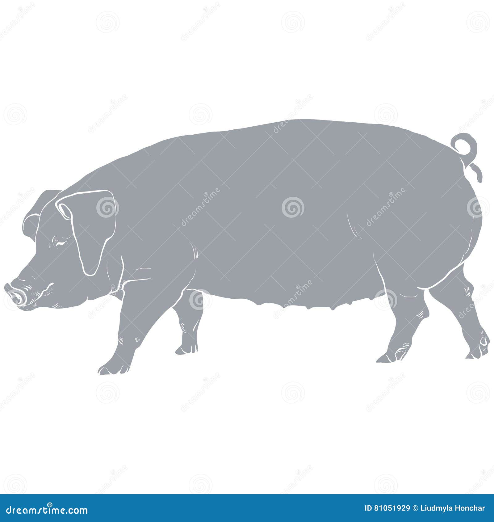 Template pig- gray. stock vector. Illustration of organic - 81051929