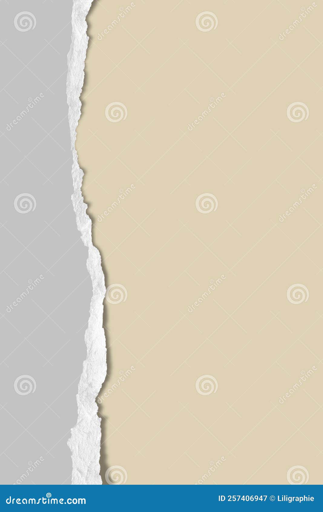 Template Ripped Paper Background. Torn Vertical Banner Stock ...