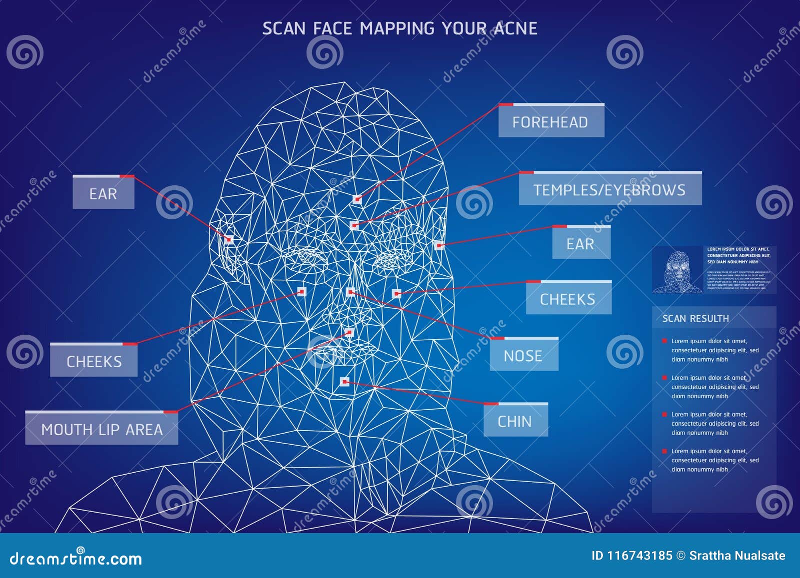 Face Mapping Infographics Vector Illustration | CartoonDealer.com ...