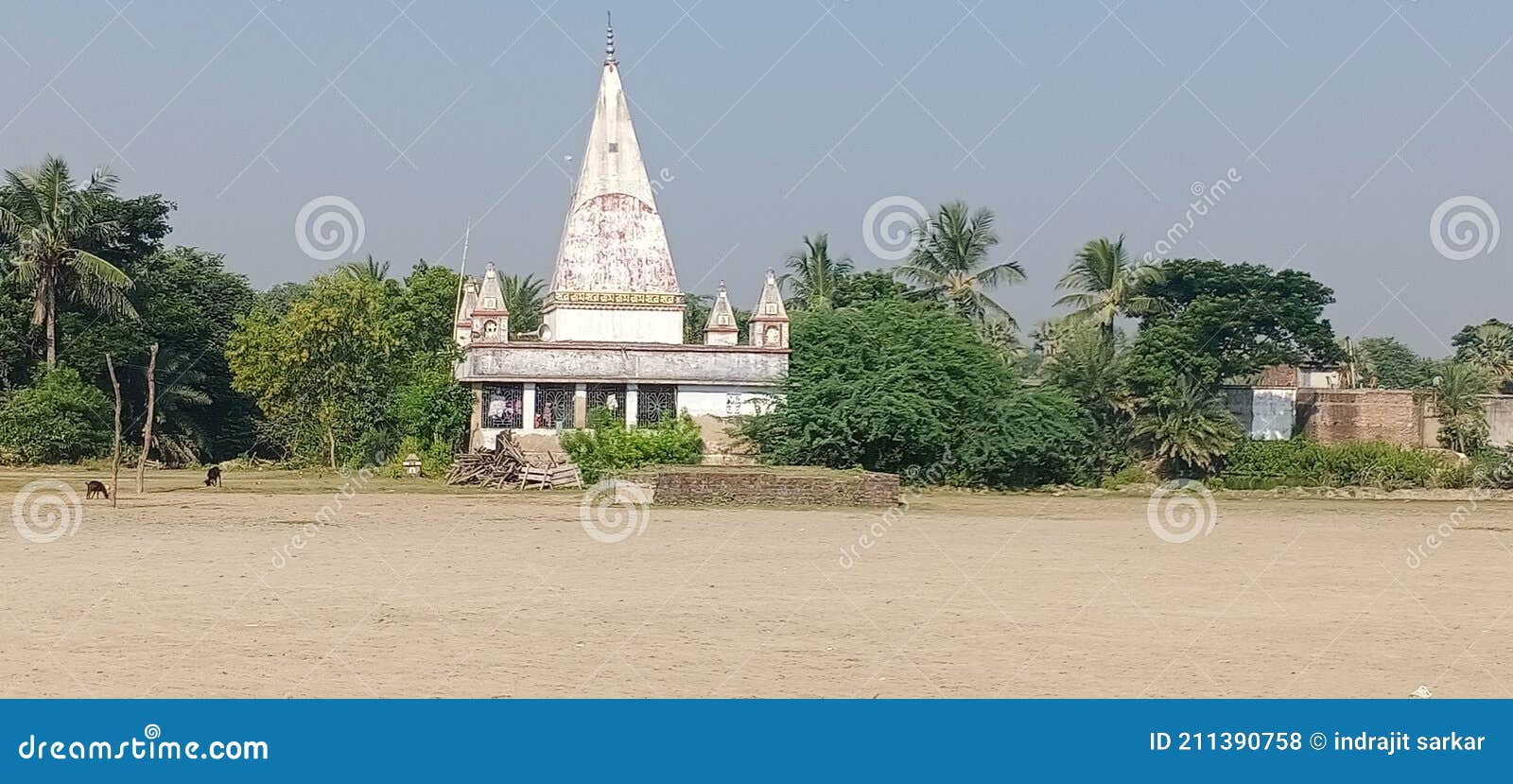 Sundor Bon Stock Photos - Free & Royalty-Free Stock Photos from Dreamstime