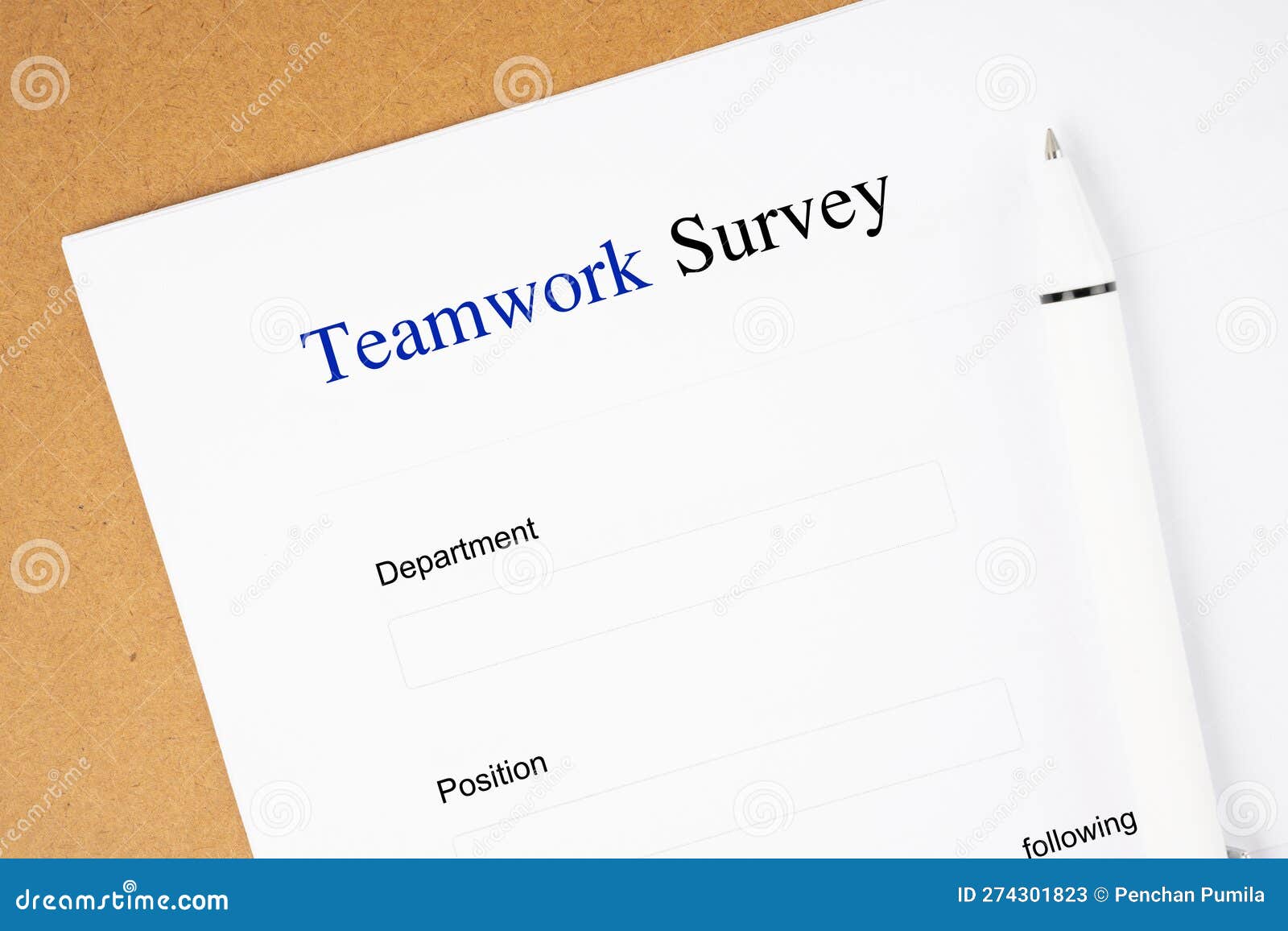 Survey Template, Questionnaire Choice, Marked Check Box With A Pen On ...