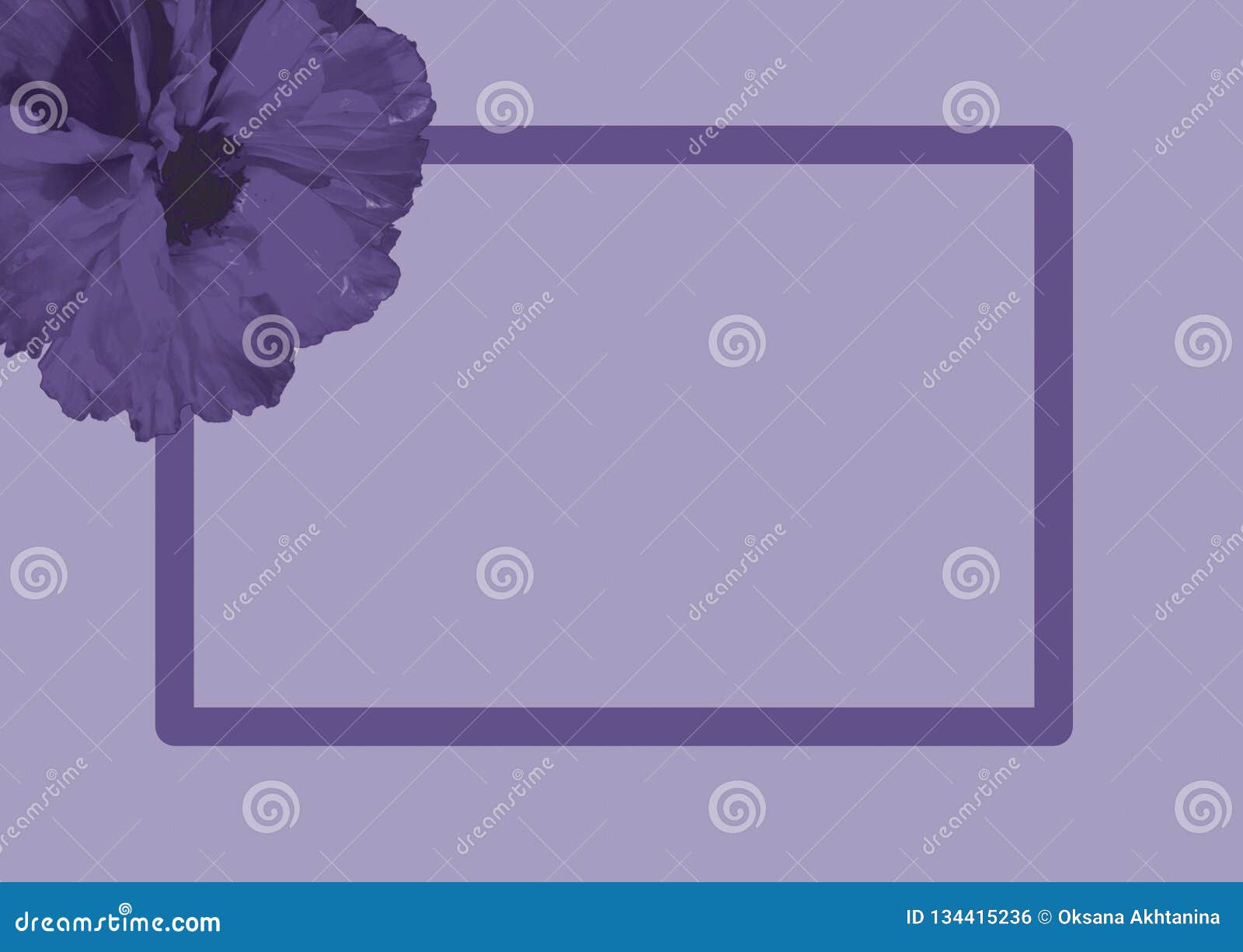 Template for Text with Flowers Stock Illustration - Illustration of ...