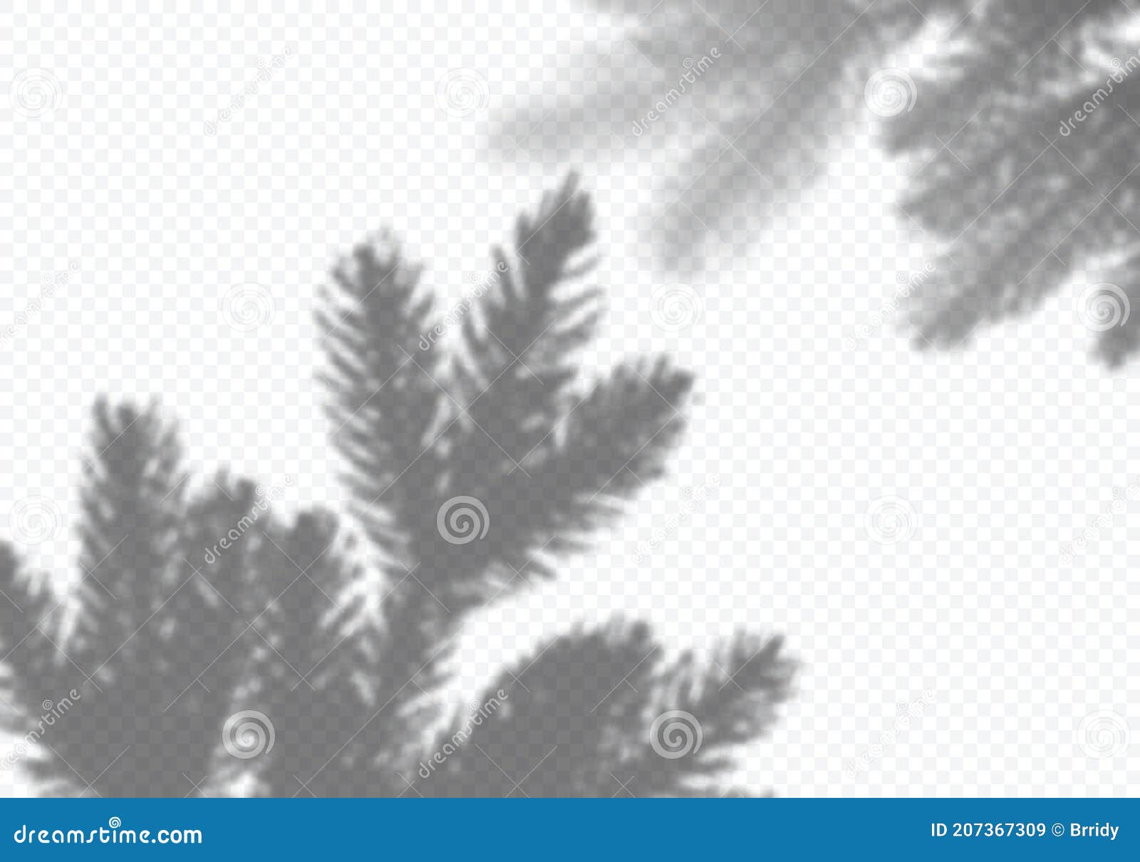 Template Vector Background with Shadow of Christmas Tree. Transparent ...