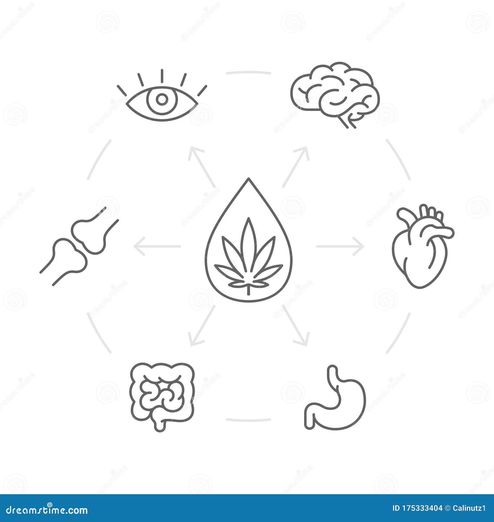 CBD Oil Benefits Vectorial Infographic Stock Vector - Illustration of ...