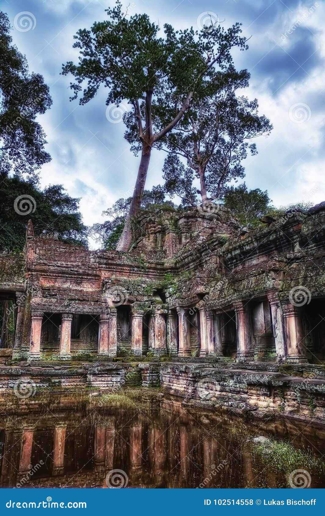 Temple in Ankor Wat stock photo. Image of religious - 102514558