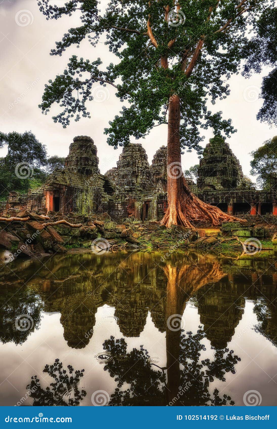 Temple in Ankor Wat stock photo. Image of colorful, dramatic - 102514192
