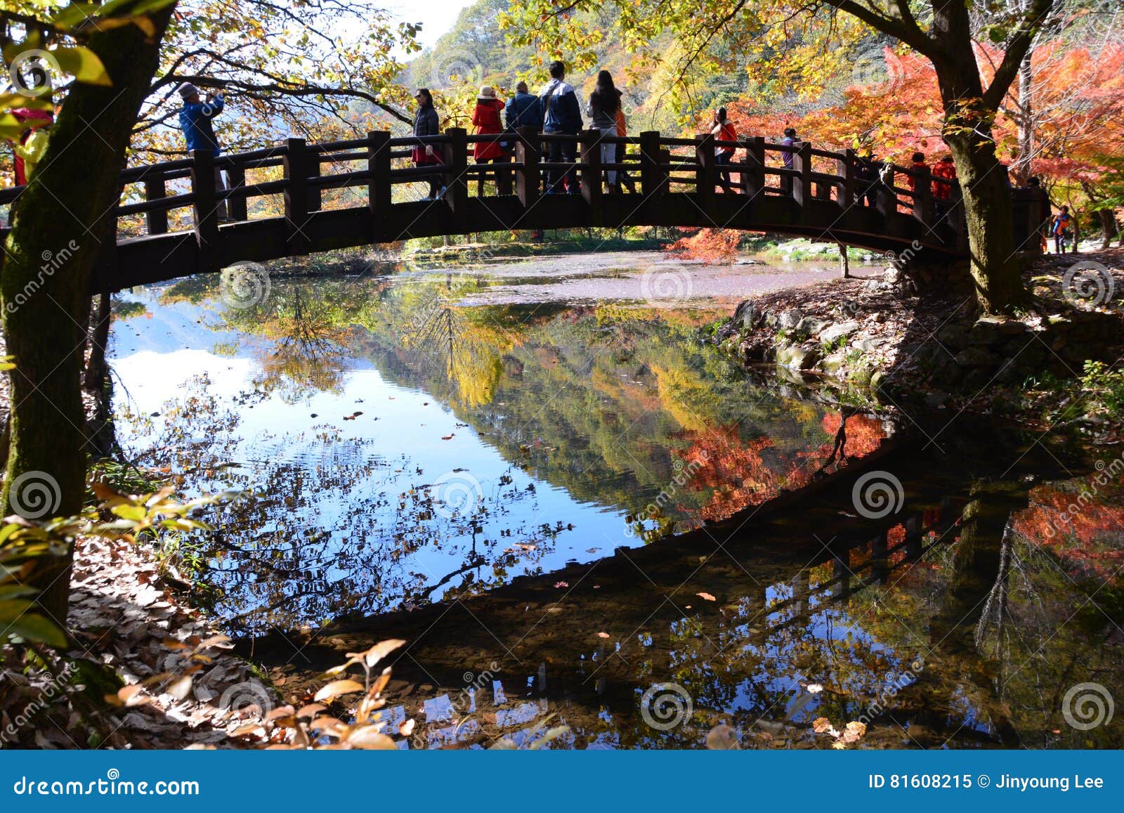 Temple editorial image. Image of tree, bowing, forest - 81608215