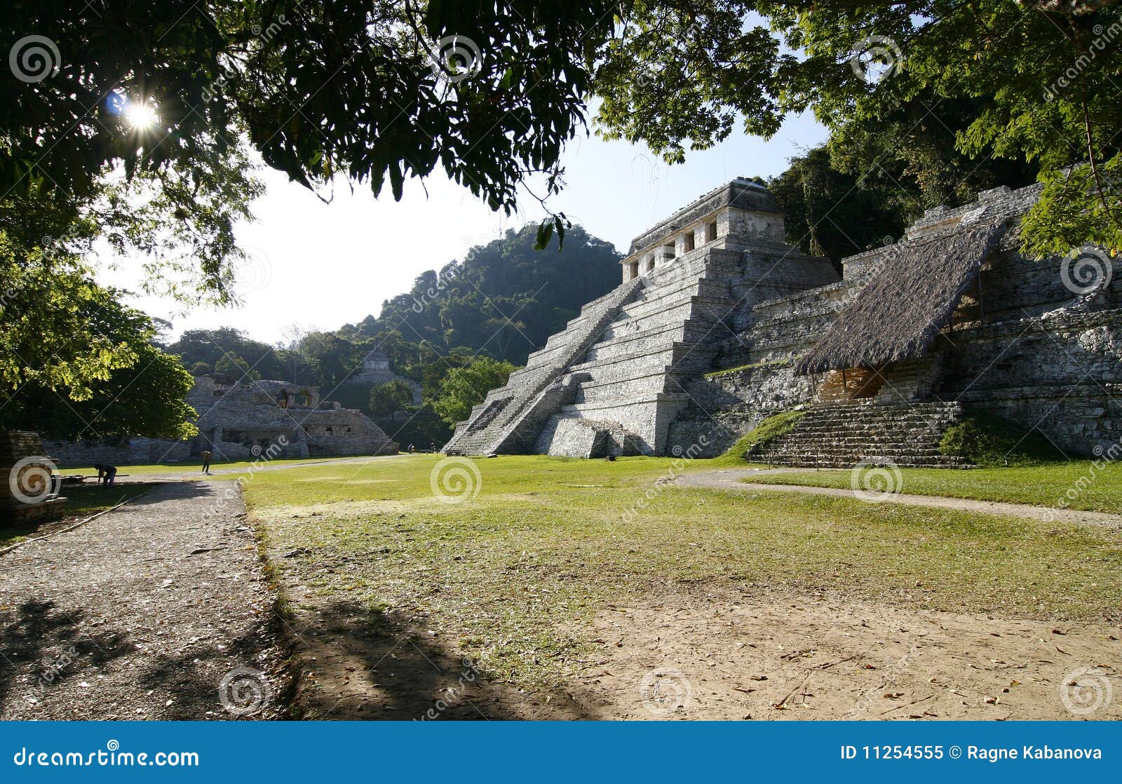 Temple Des Inscriptions. Ruines Maya, Mexique Image stock - Image du ...