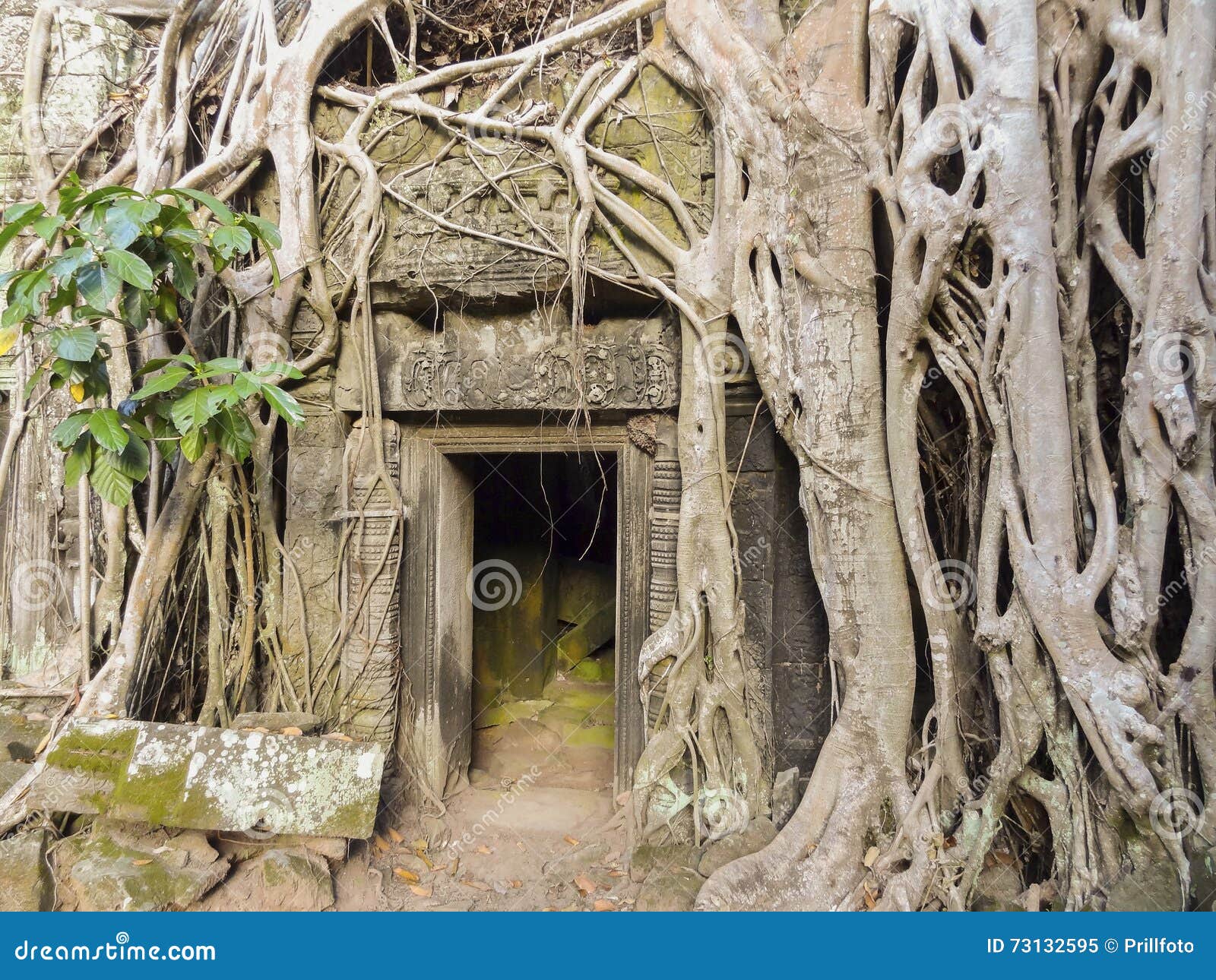 Temple Detail at Ankor Thom Stock Image - Image of ankor, outdoor: 73132595