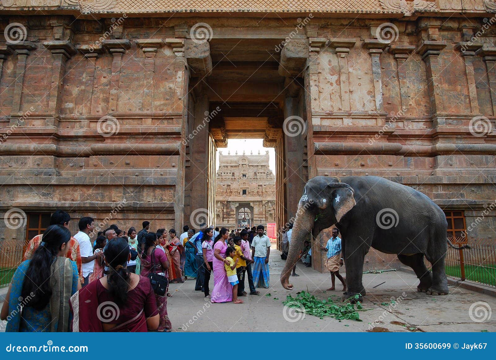 Temple Elephant in India editorial stock image. Image of ancient - 35600699