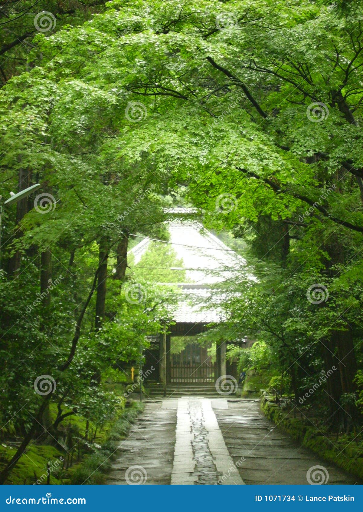 Temple Entrance stock photo. Image of temple, path, tree - 1071734