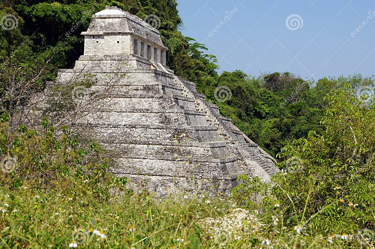 Temple of Inscriptions stock photo. Image of indigenous - 20092348