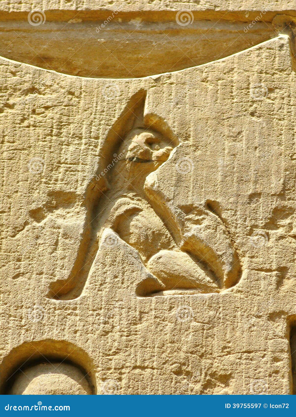 Temple of Kom Ombo, Egypt: Carving of a Small Cat Stock Image - Image ...