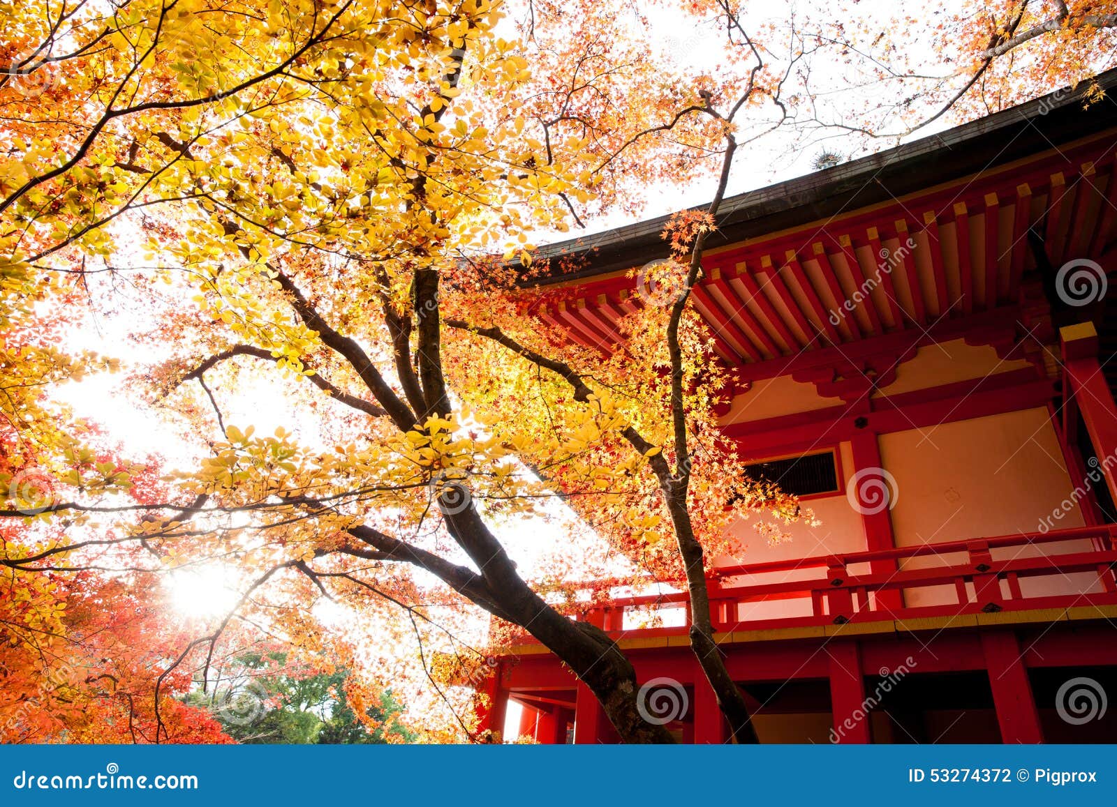 Temple maple Kyoto Japan stock photo. Image of chinese - 53274372