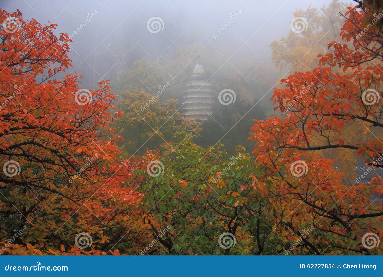 White tower with maple stock photo. Image of beijing - 62227854