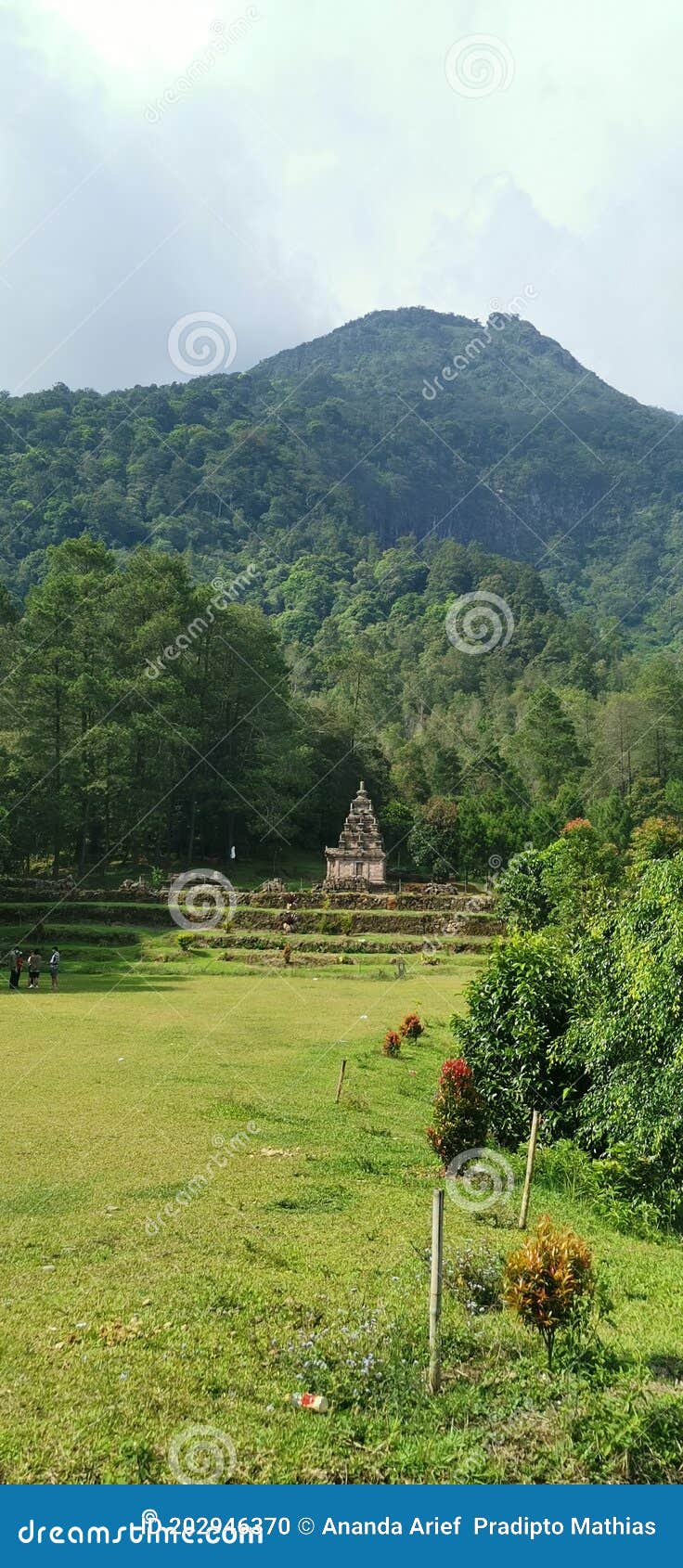 Temple in Nature stock photo. Image of forest, plantation - 202946370