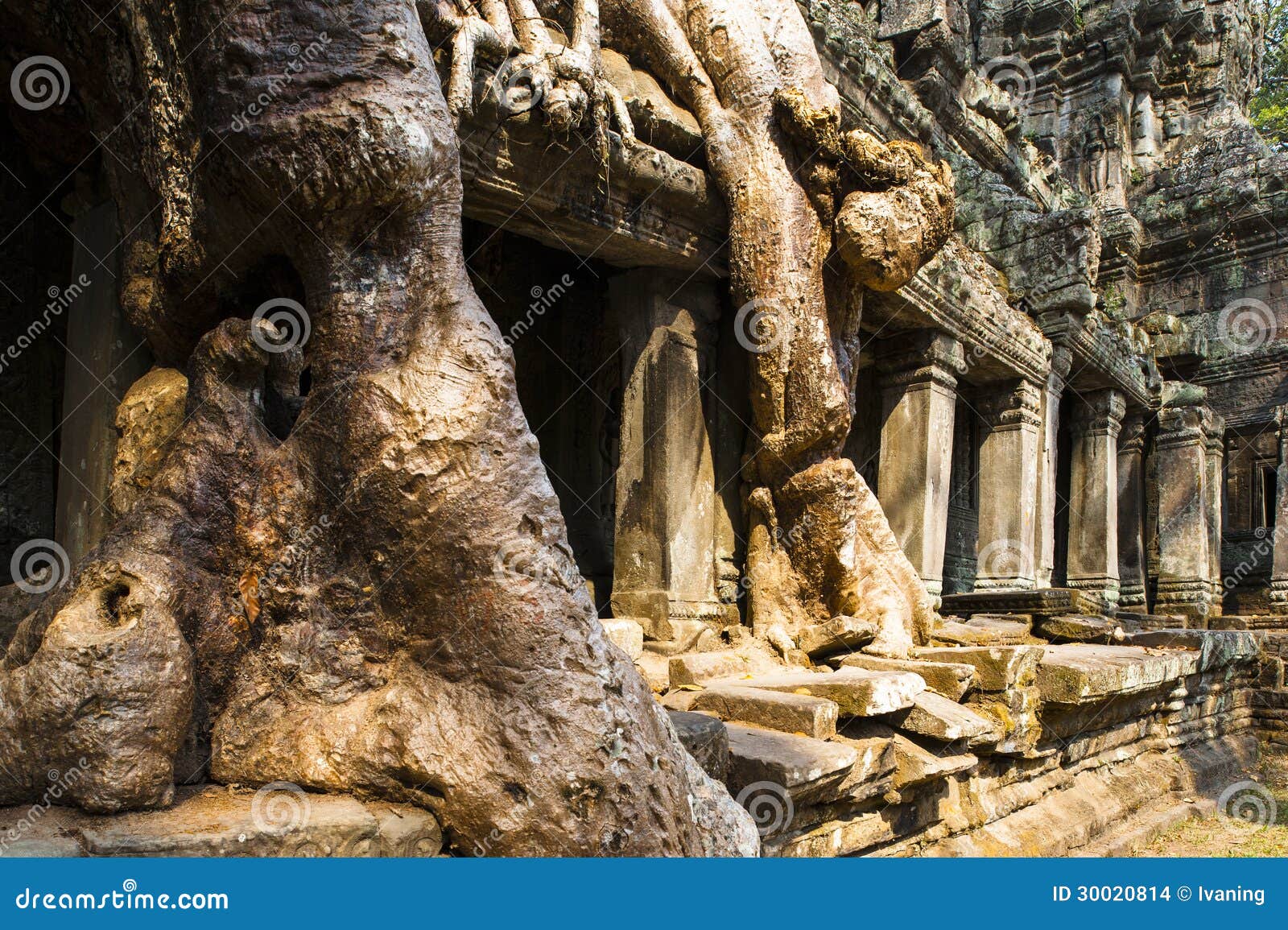 Temple in trees stock photo. Image of cambodia, prom - 30020814