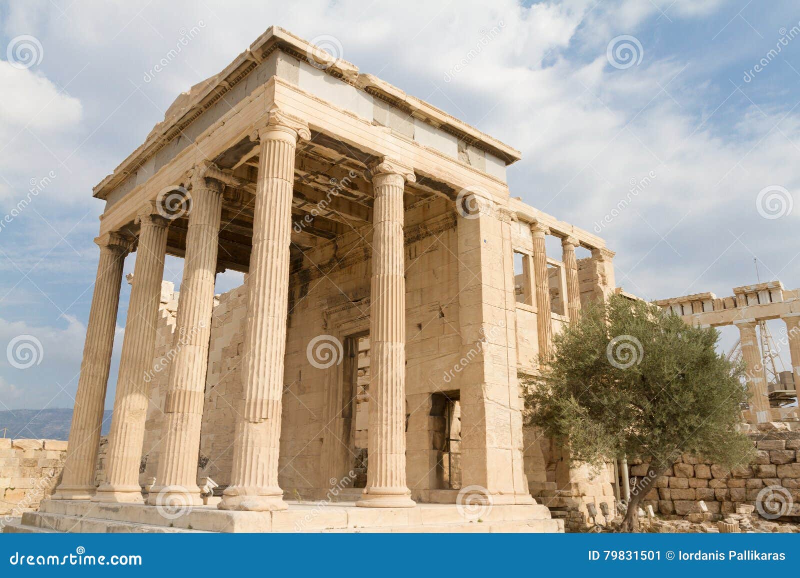 Temple and Olive Tree at the Acropolis of Athens, Greece Stock Image ...
