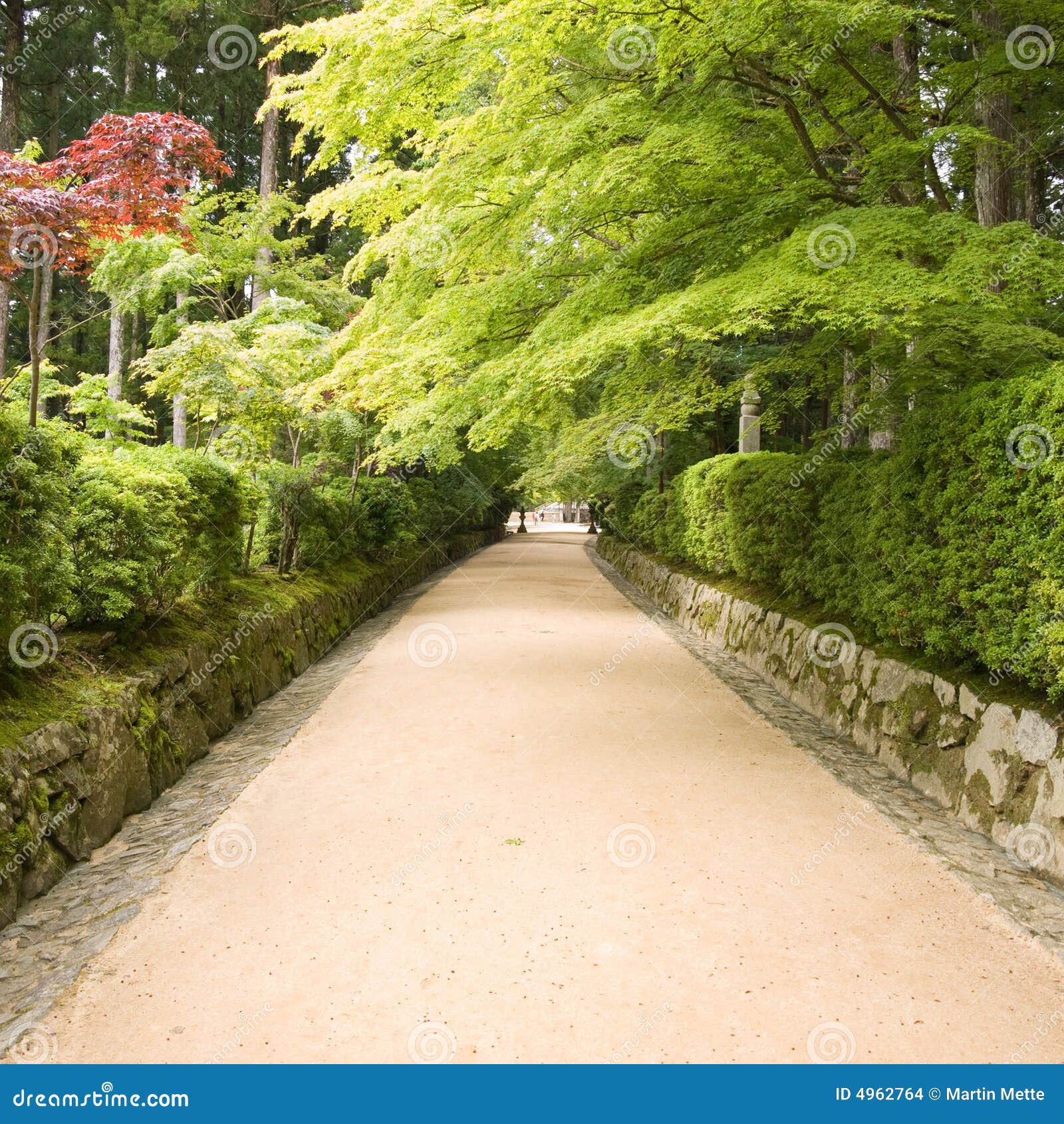 Temple pathway stock photo. Image of pilgrimage, japanese - 4962764