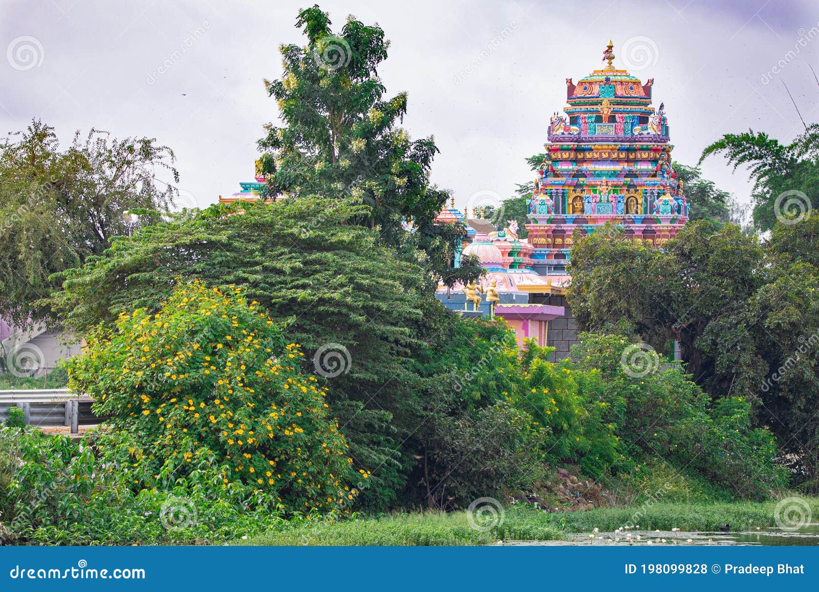 Temple at riverside stock photo. Image of plant, tourism - 198099828