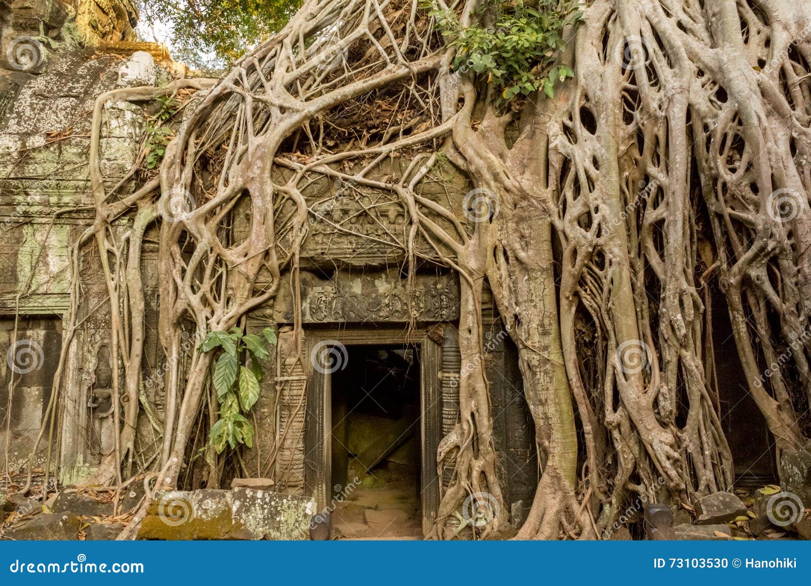 Temple Ruins Overgrown by Trees Stock Photo - Image of architecture ...