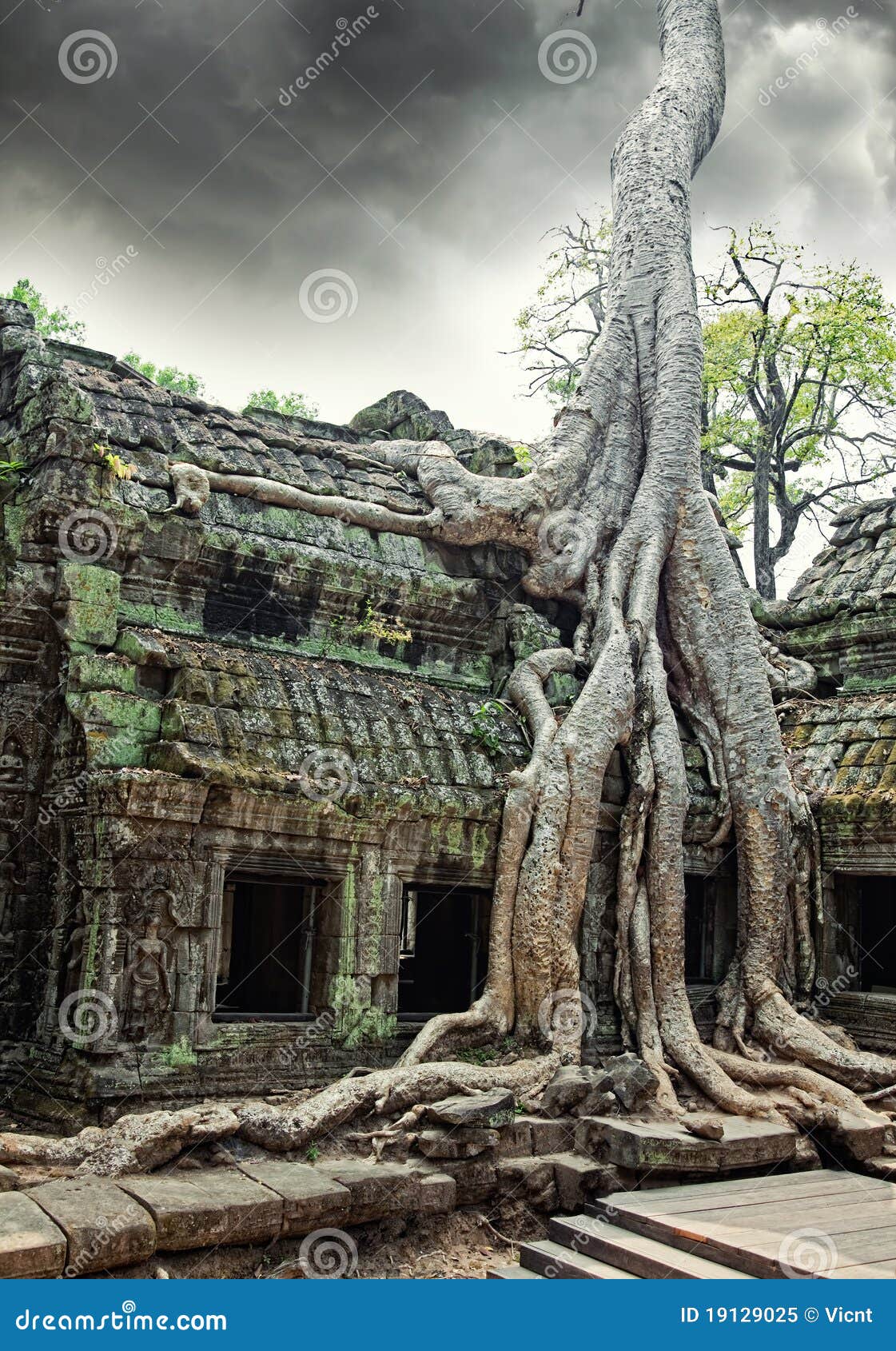 Temple of Ta Prohm in Angkor Wat Stock Image - Image of jungle ...