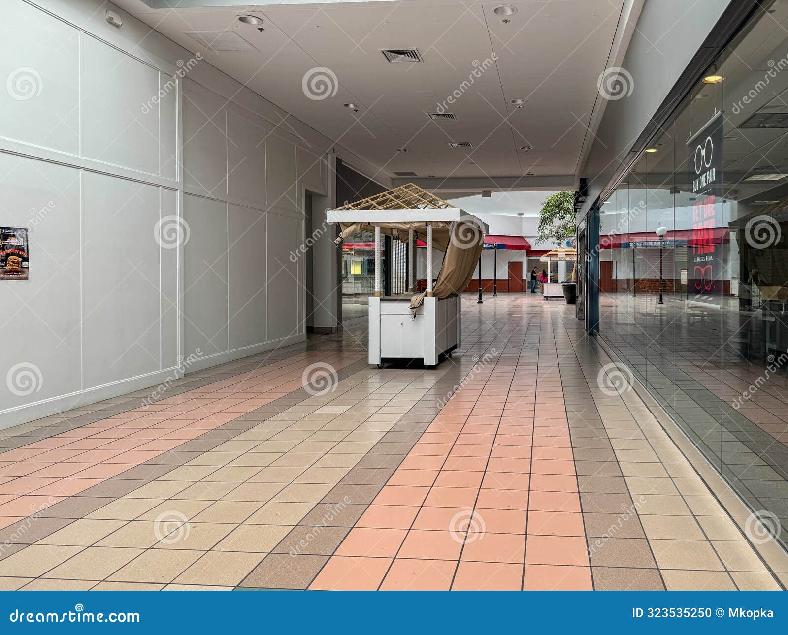 Inside the Nearly Empty Temple Mall Editorial Image - Image of texas ...