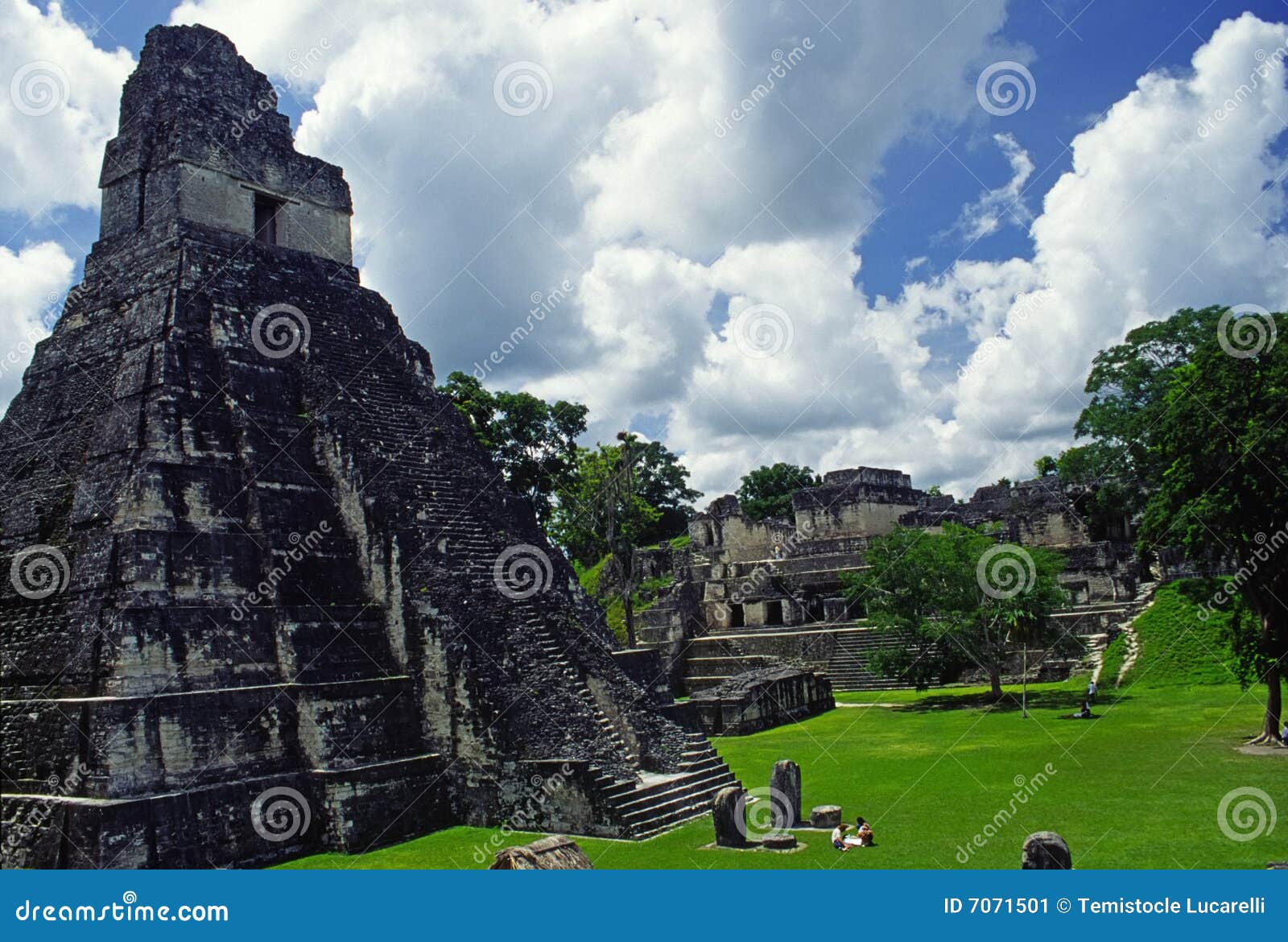 Temple of tikal stock image. Image of vacation, holiday - 7071501