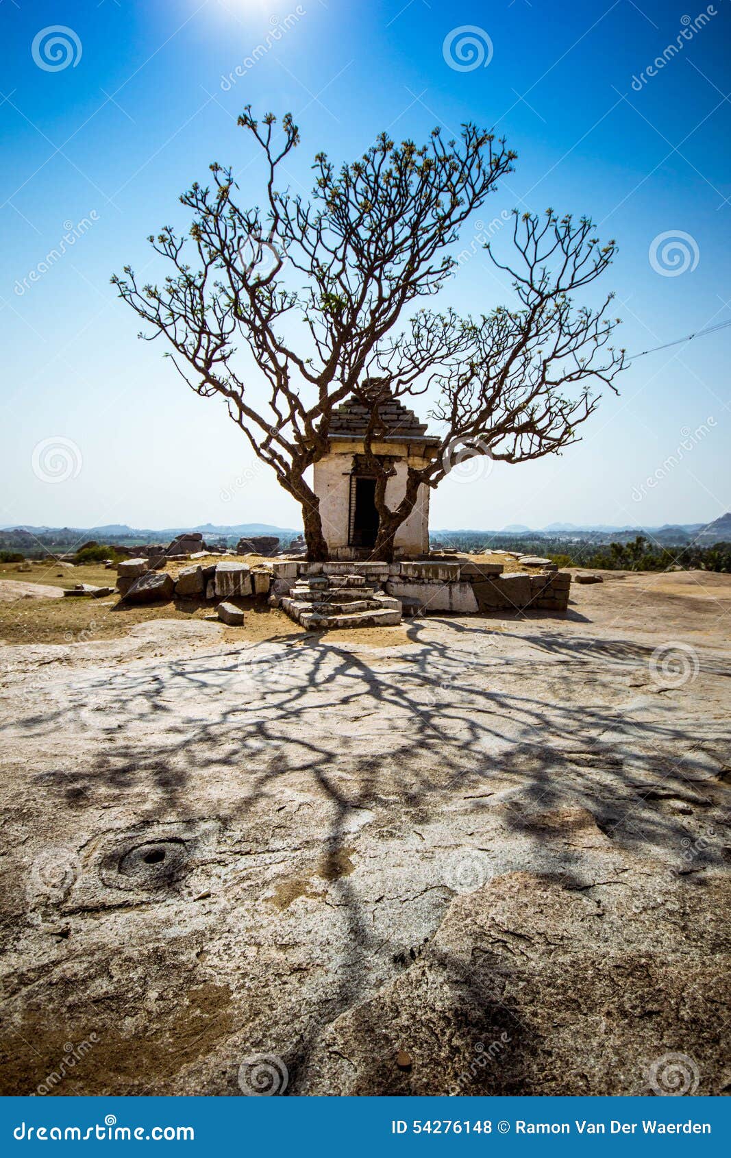 Temple tree stock photo. Image of travel, tropical, india - 54276148