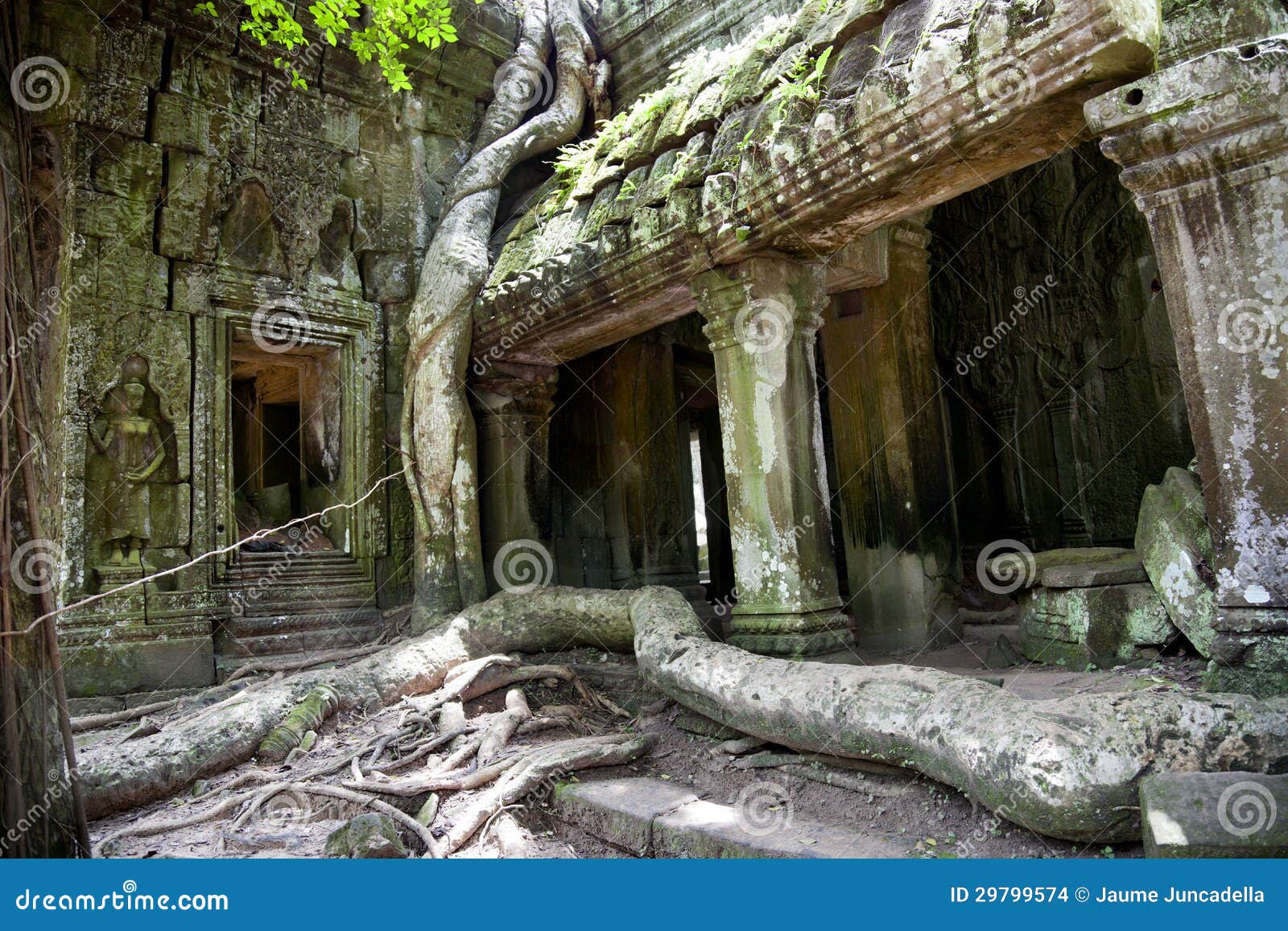 Ta Prohm stock photo. Image of buddhism, built, buildings - 29799574
