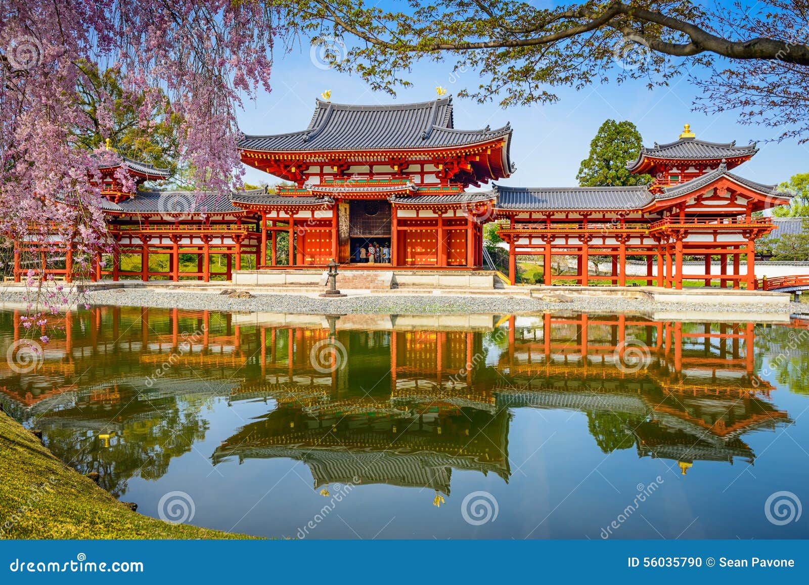 Templo De Byodoin En Primavera Foto de archivo - Imagen de kyoto, asia ...